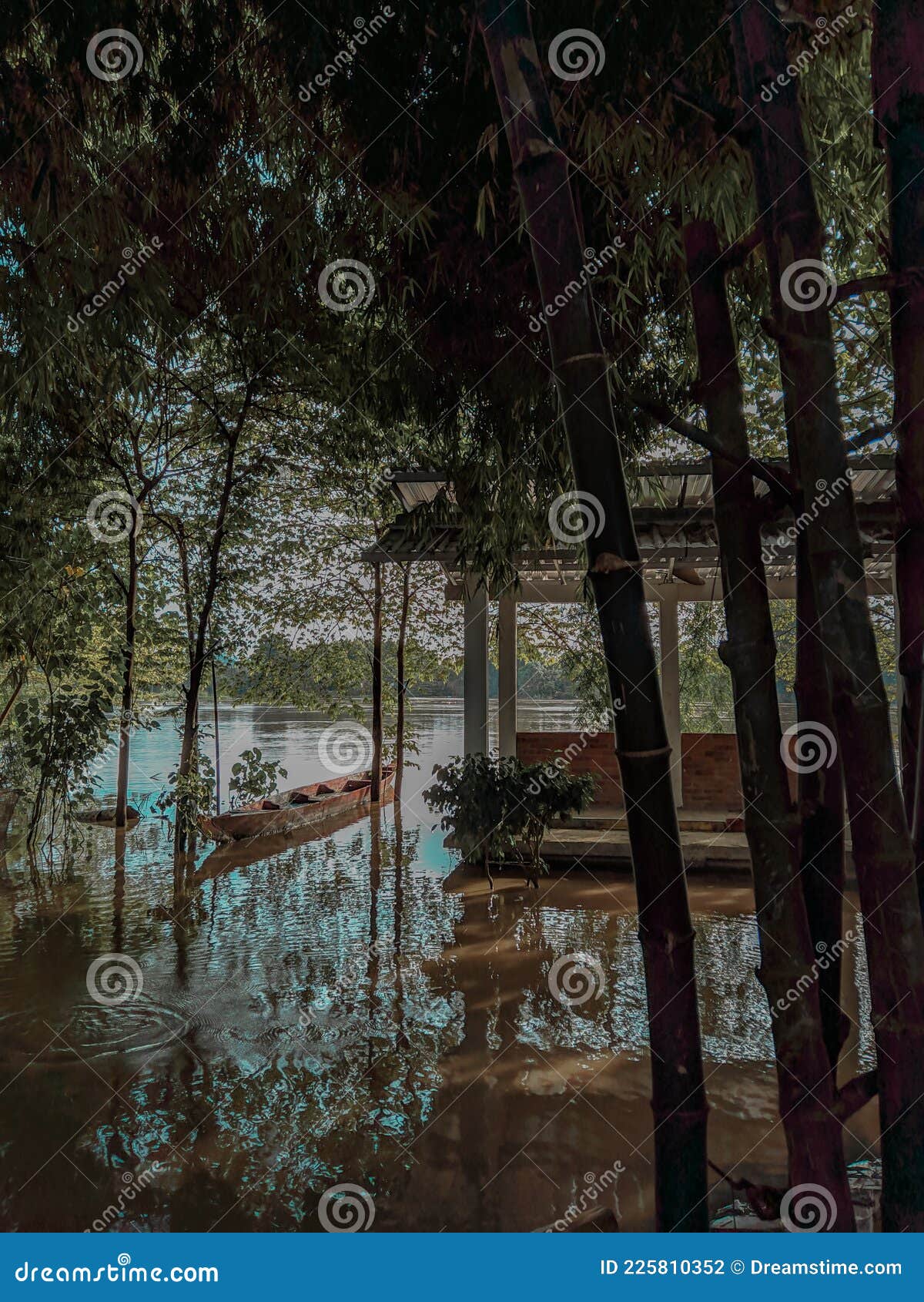 Water, Boat, Tree, Fish, House, in the River Stock Photo - Image of ...