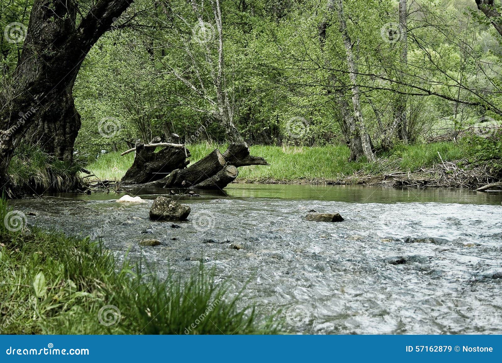 Water body stock image. Image of nature, natural, shallow - 57162879