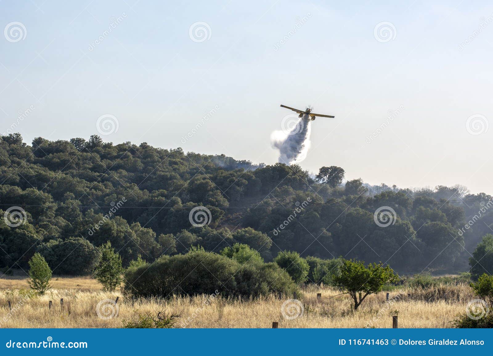 Water Bomber in Action on a Forest Fire. Stock Image - Image of ...
