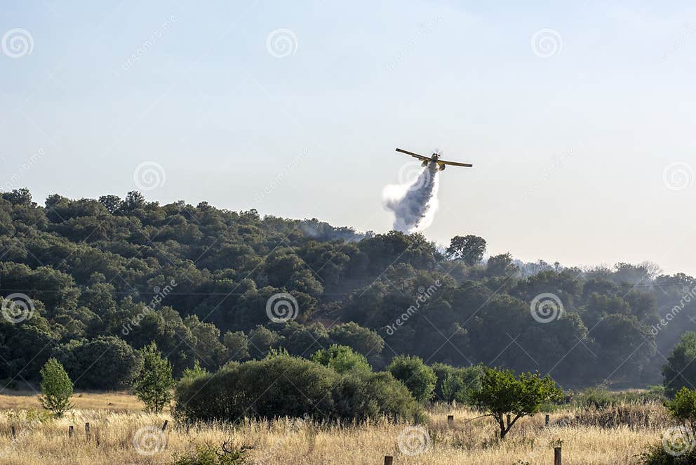 Water Bomber in Action on a Forest Fire. Stock Image - Image of ...