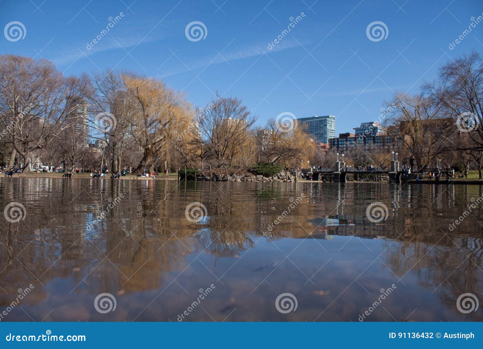 Water of Boston Common Duck Ponds. Stock Photo - Image of ponds, common ...