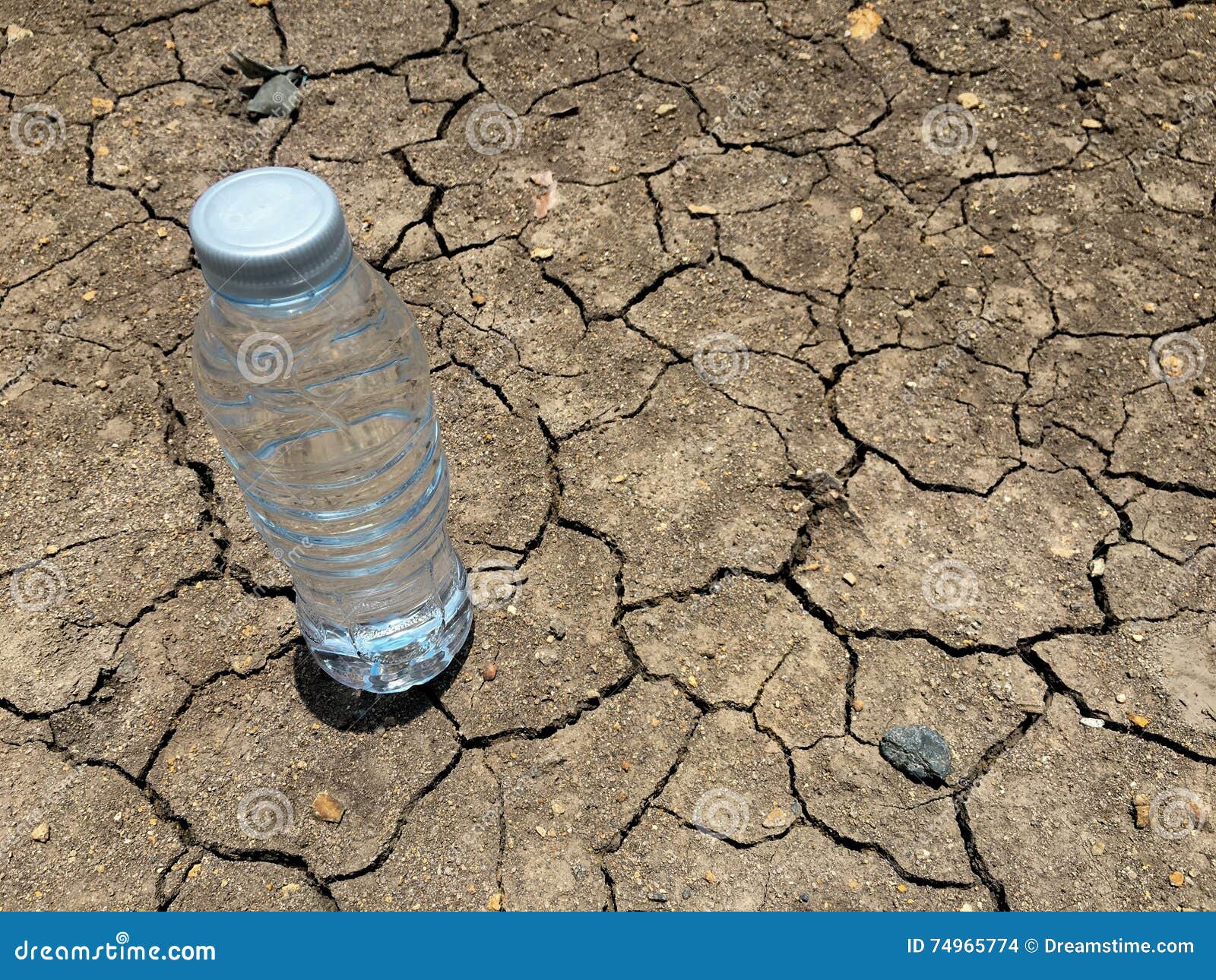 Water Bottle on Dry and Cracked Ground Stock Photo - Image of ecology ...