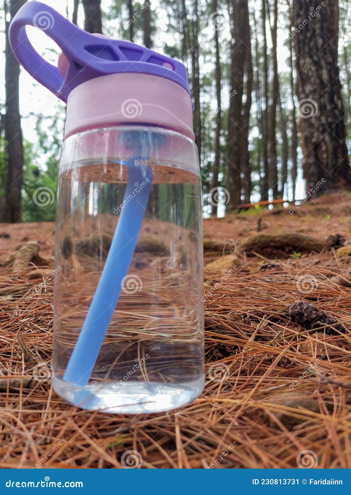 A Water Bottle in the Middle of the Pine Forest Stock Image - Image of ...