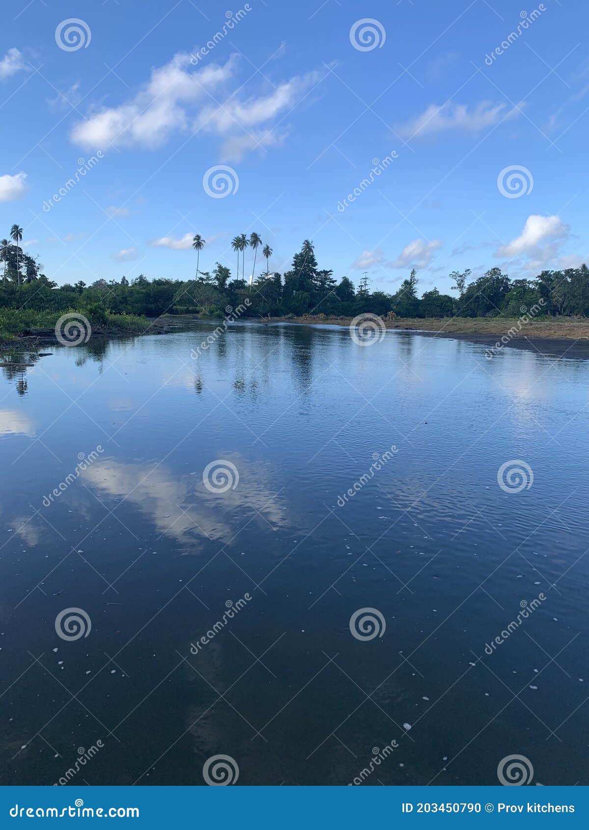 Water stock photo. Image of papua, nature, water, brackish - 203450790