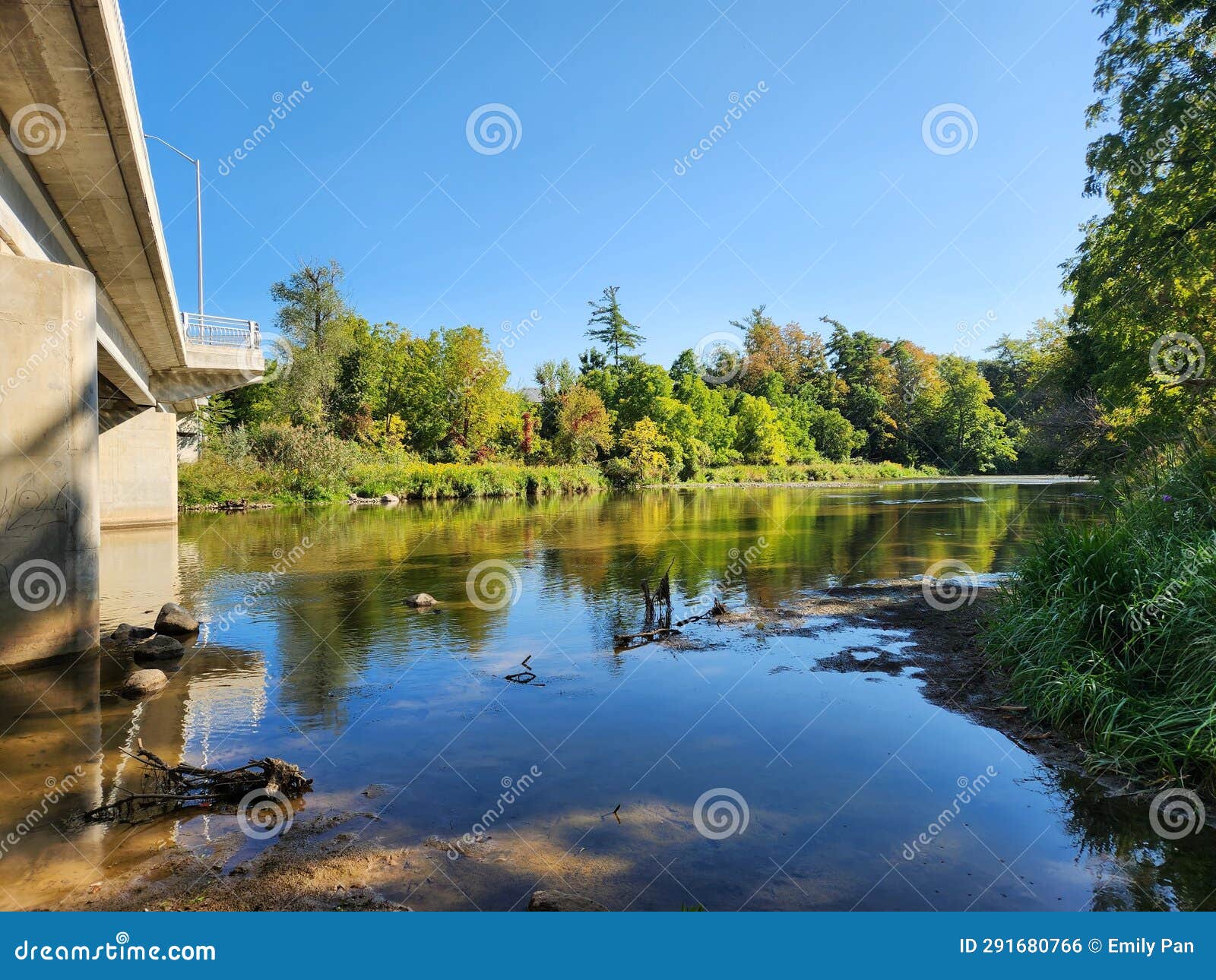 Water Bridge Side stock photo. Image of pond, side, lake - 291680766