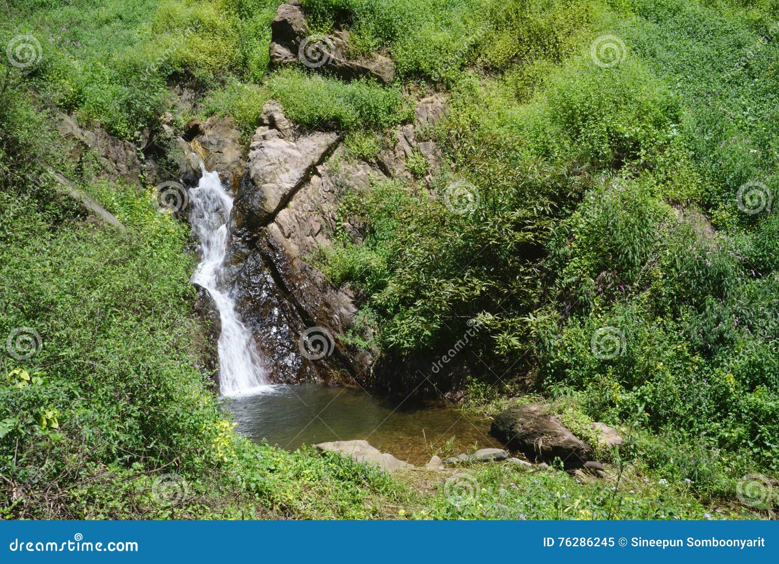 Water From Brook Or Water Fall In Blue Pvc Pipe To Water Filter On The ...