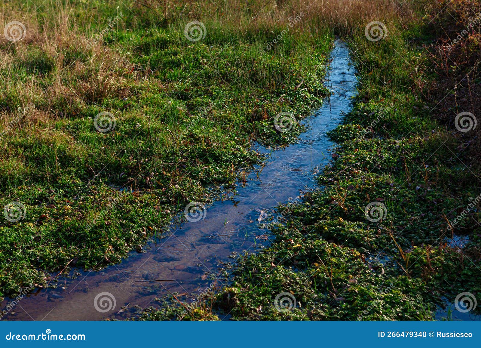 Water From Brook Or Water Fall In Blue Pvc Pipe To Water Filter On The ...