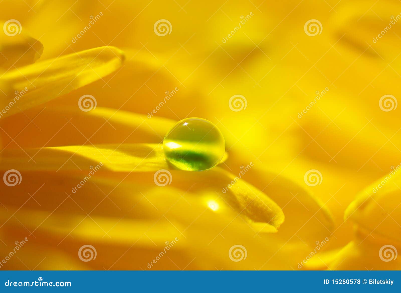 Water bubble stock photo. Image of environmental, abstract - 15280578