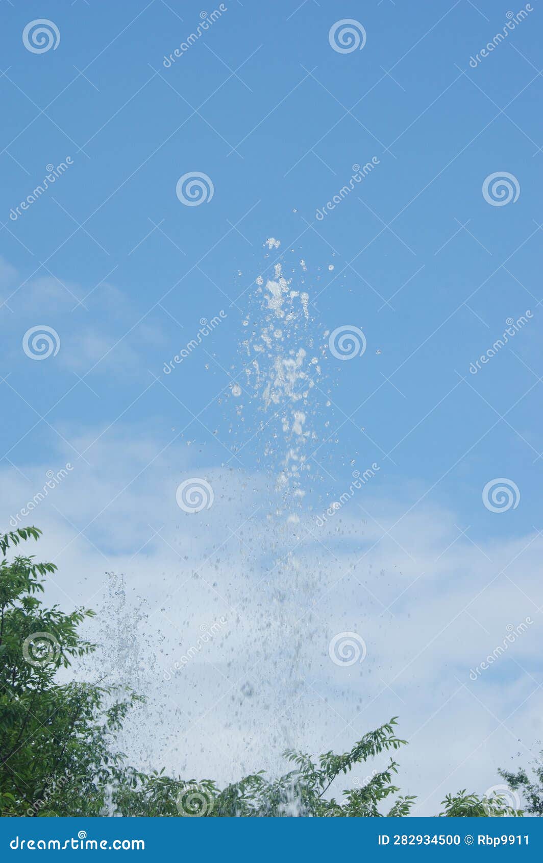 The Bubbles are Springing Forth Stock Photo - Image of branch, tree ...