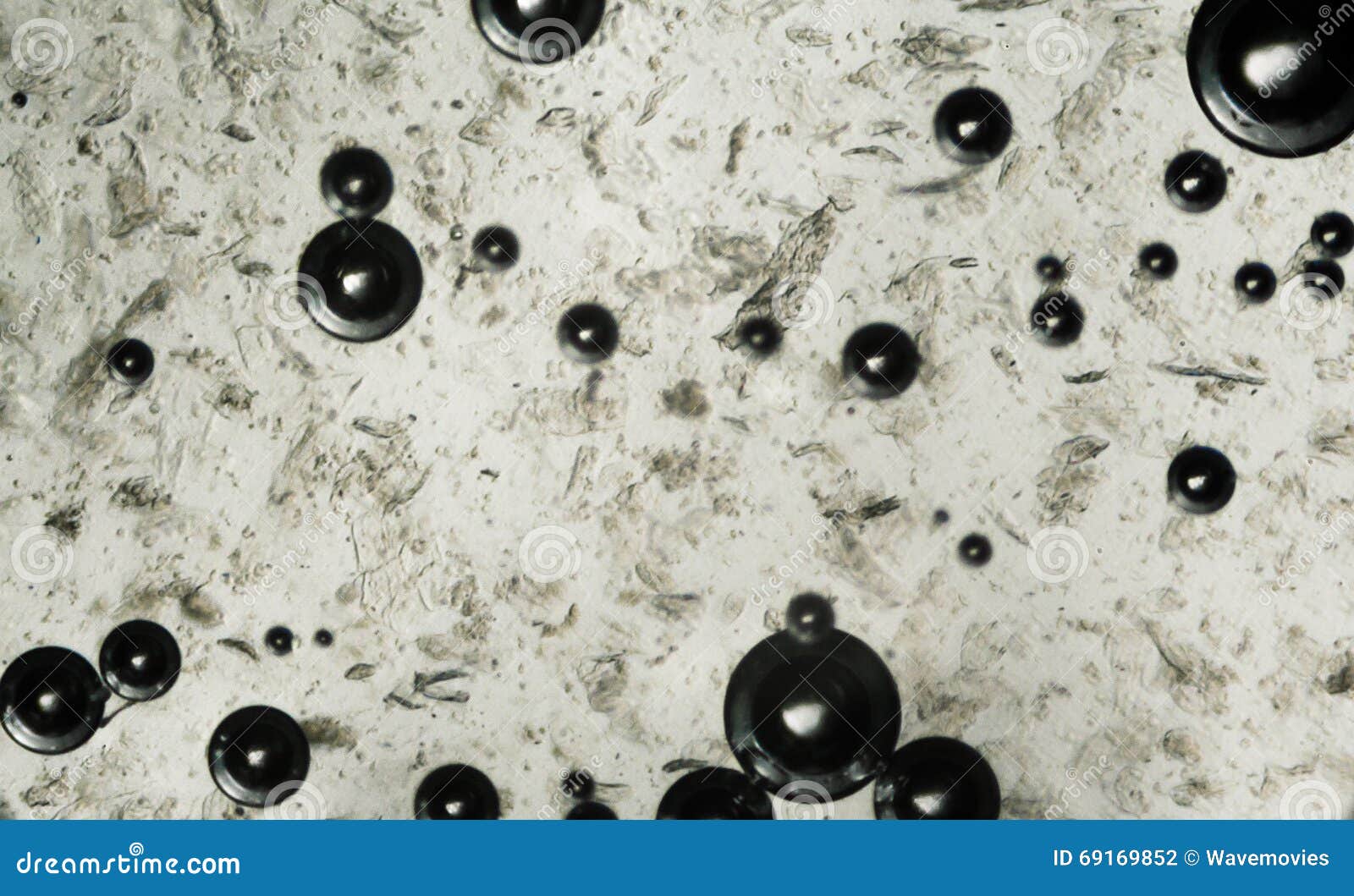 Water Bubbles Under the Microscope Stock Photo - Image of liquid ...
