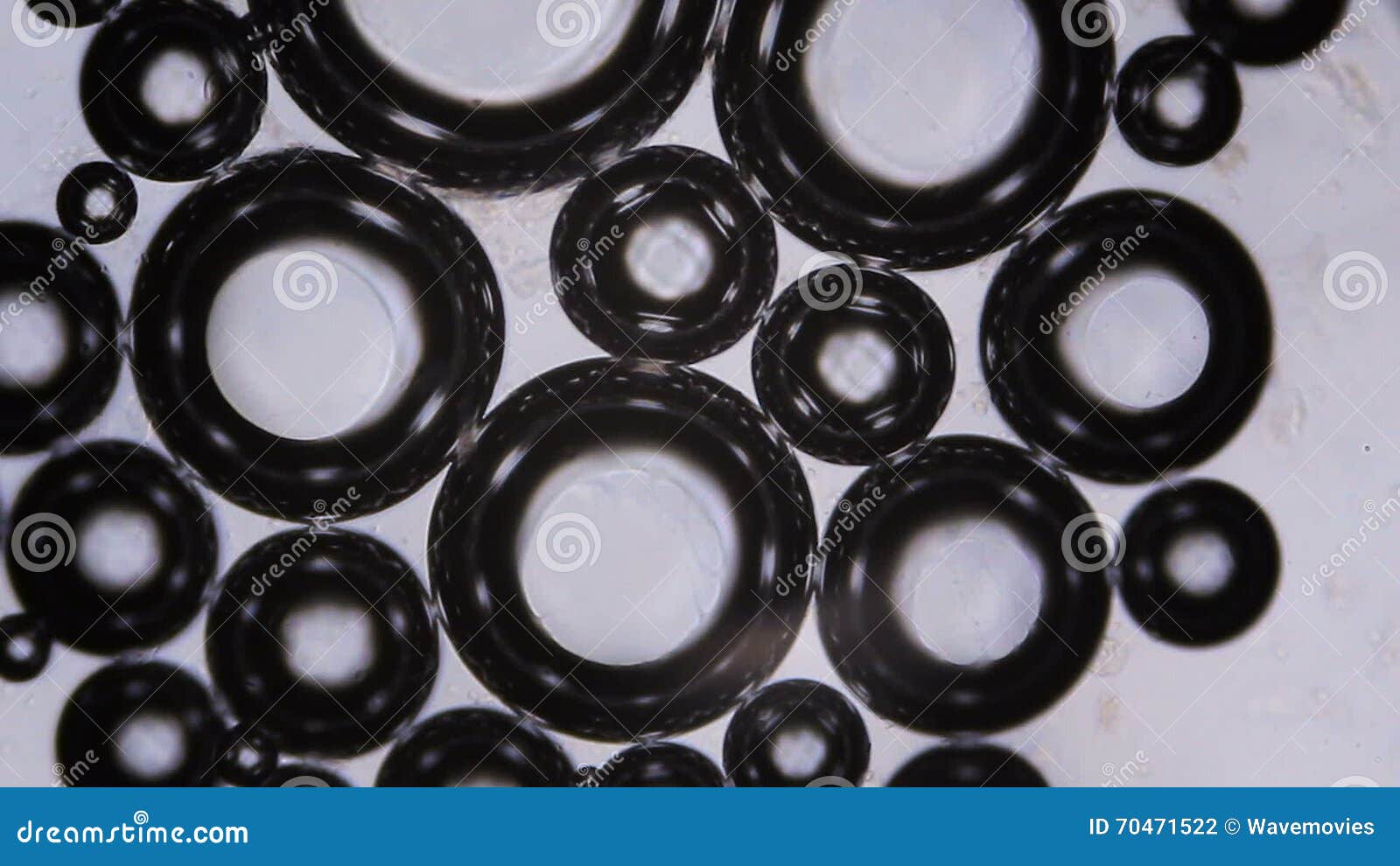 Water Bubbles Under the Microscope Stock Footage - Video of black ...