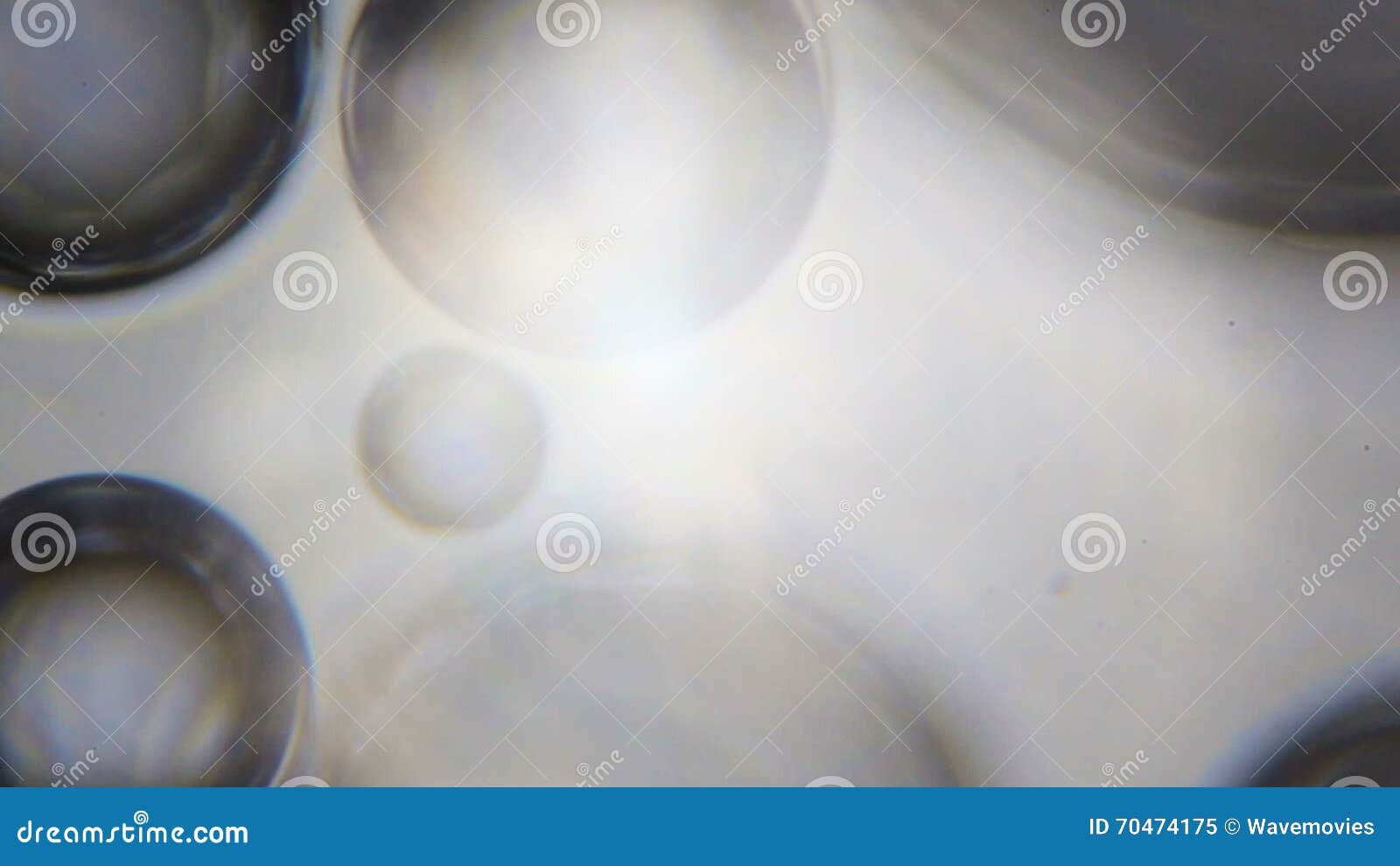 Water Bubbles Under the Microscope Stock Video - Video of laboratory ...