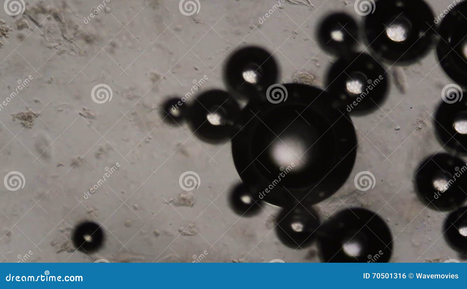 Water Bubbles Under the Microscope Stock Footage - Video of chemical ...