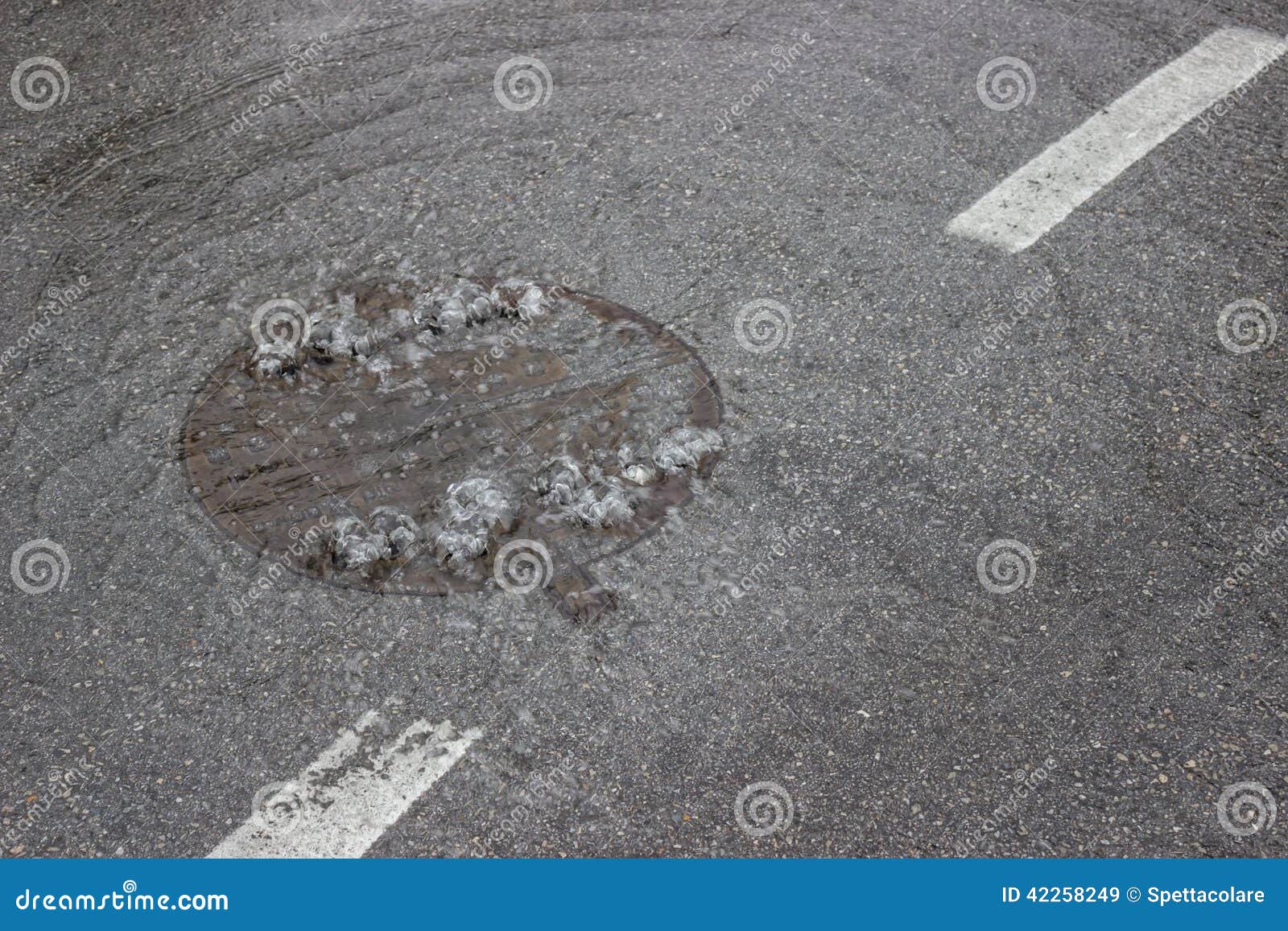 Water Bubbling Up through Manhole Cover and Sewer Stock Image - Image ...