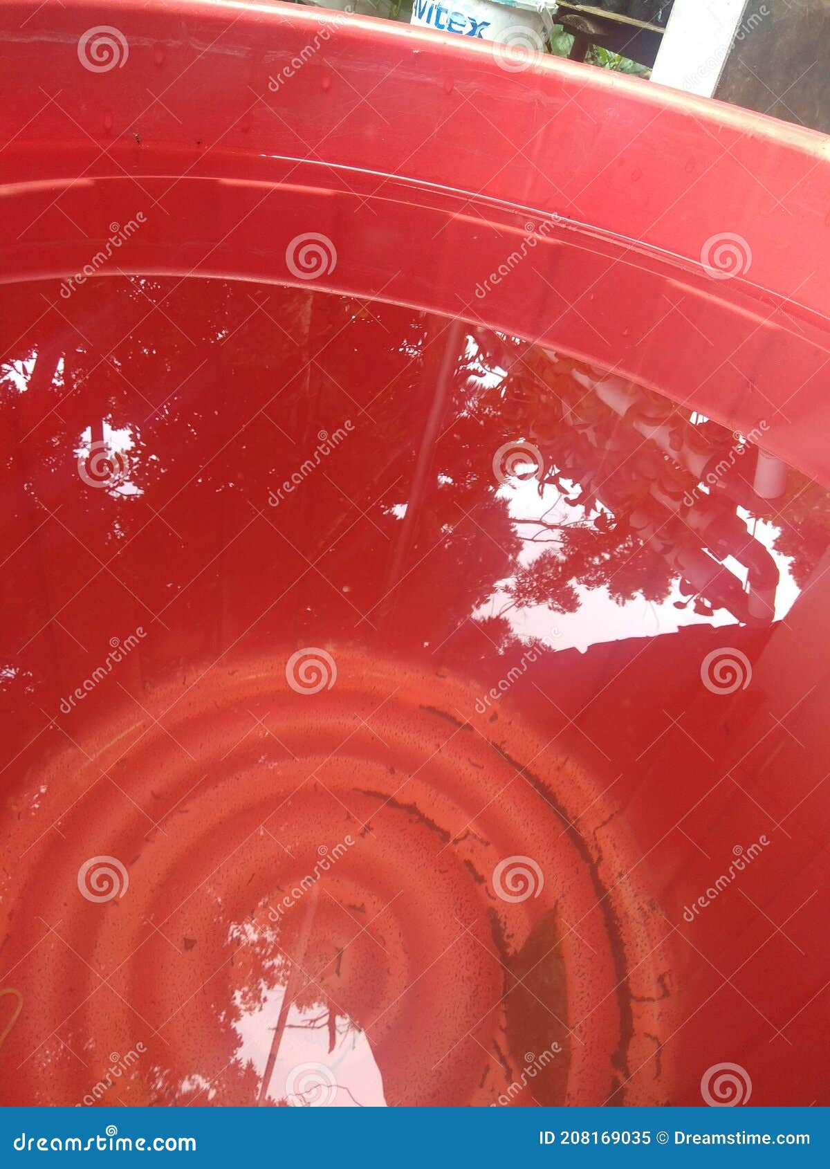 Water in bucket stock image. Image of water, produce - 208169035
