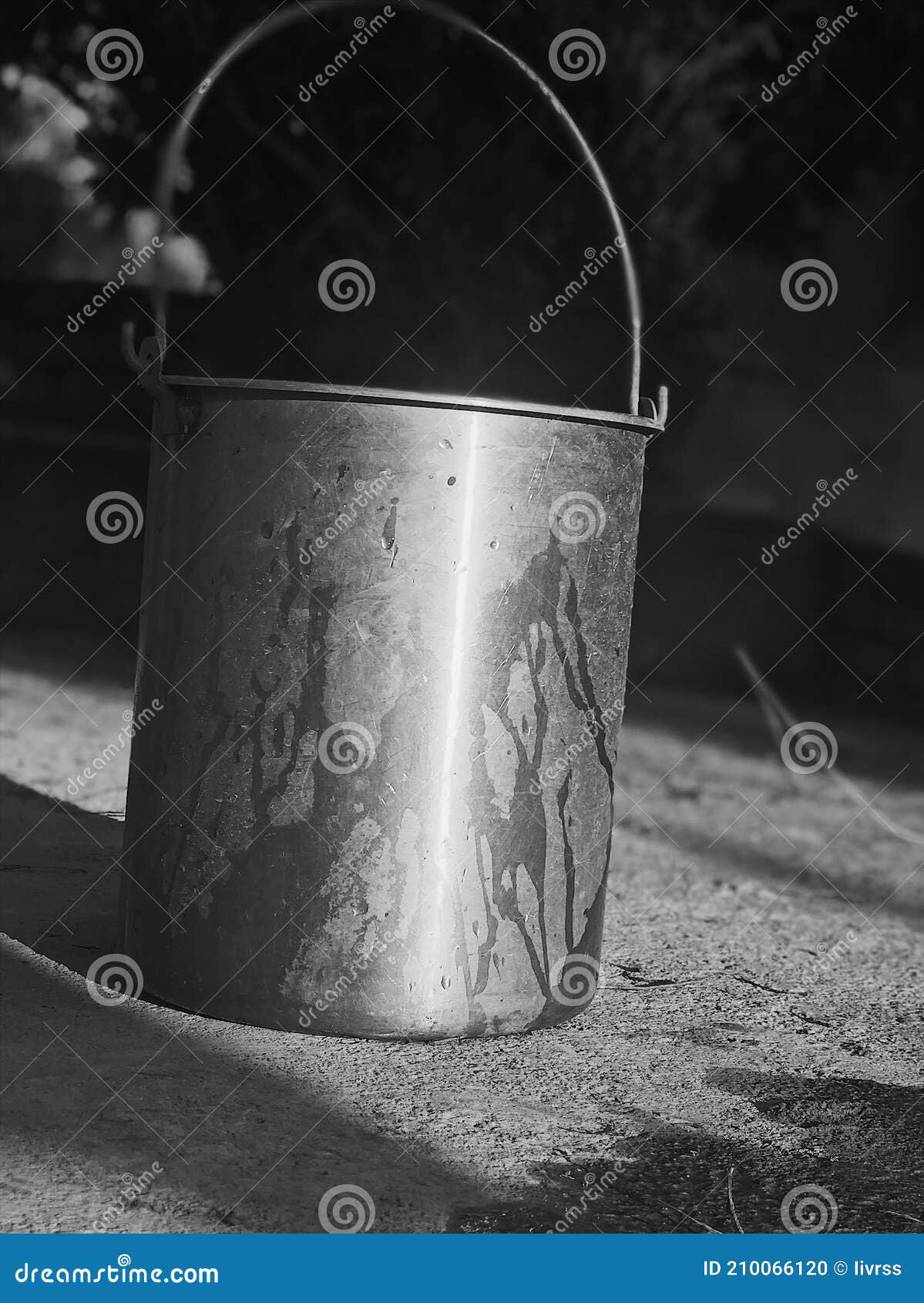 Water bucket stock photo. Image of full, water, bucket - 210066120