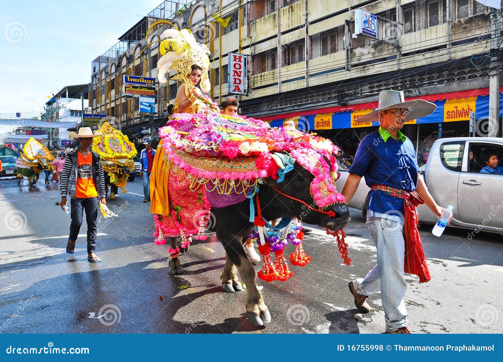 Water Buffalo Parade on the Road in Buffalo Racing Editorial Stock ...