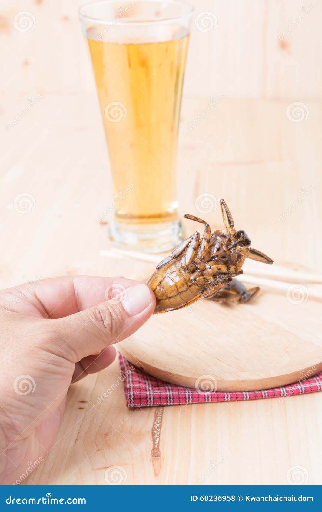 Water bug fried in hand stock photo. Image of thailand - 60236958