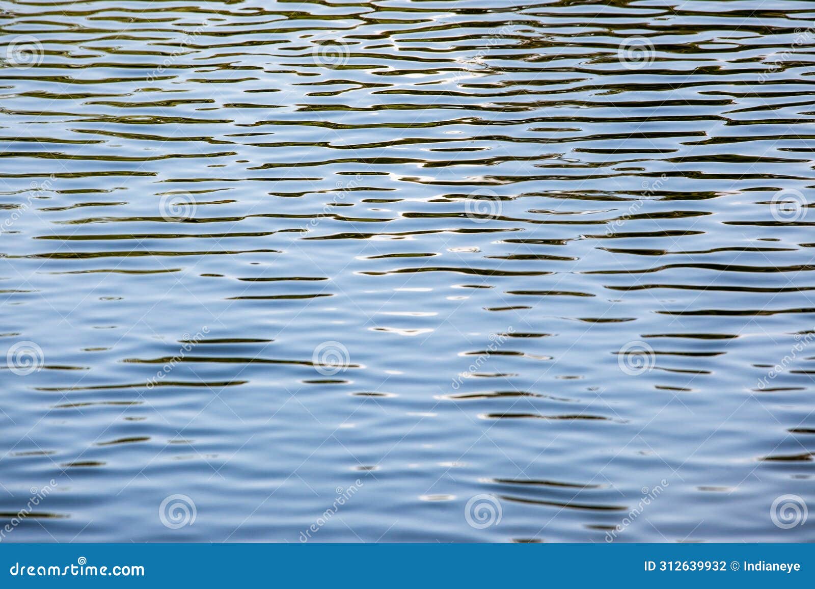 The Water is Calm and Still, with Ripples Forming on the Surface Stock ...