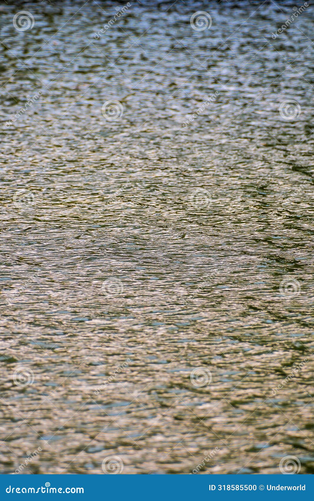 The Water is Calm and Still, with Ripples Stock Photo - Image of ...