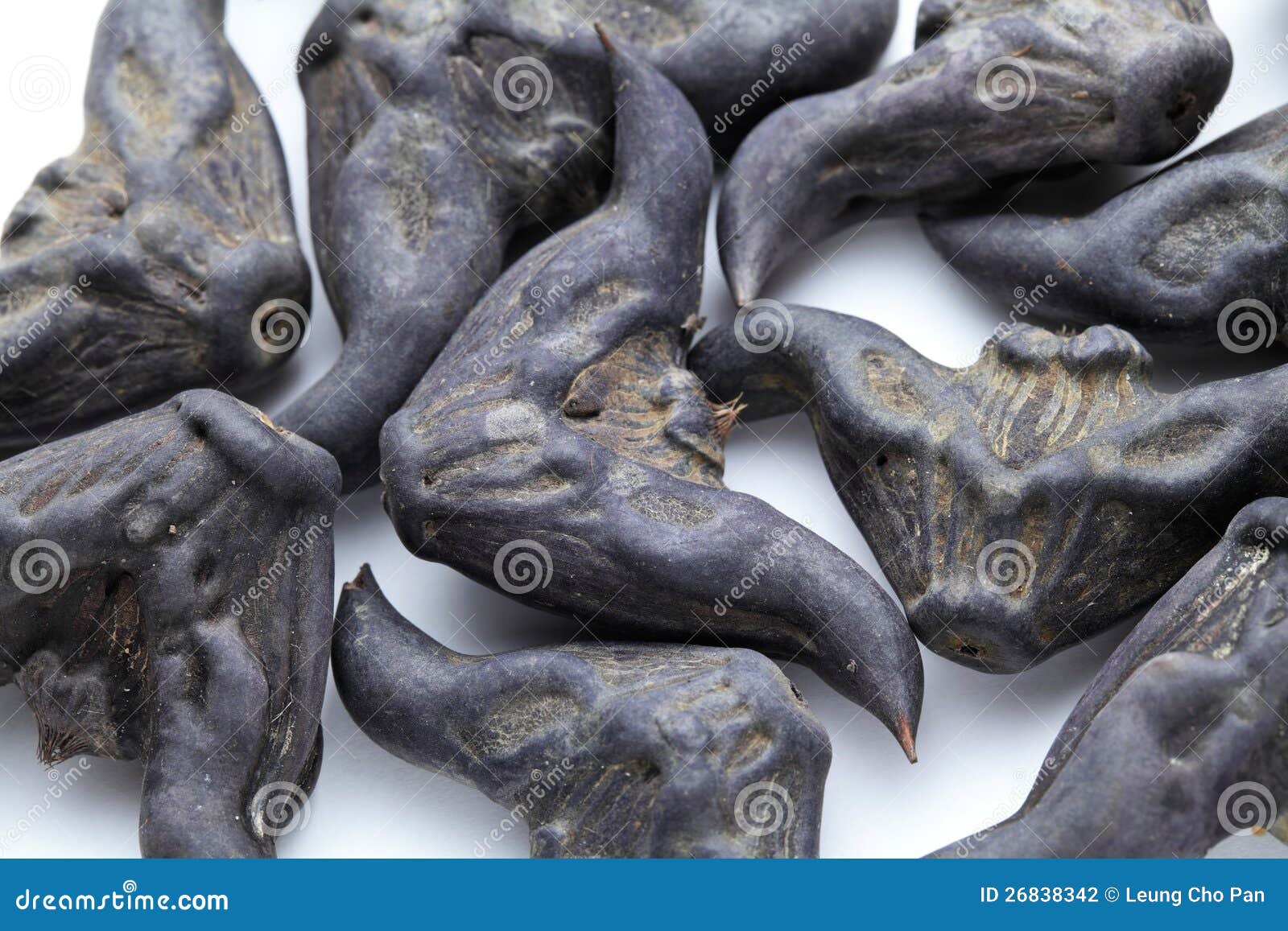 Water Caltrop stock photo. Image of heaty, nature, food - 26838342
