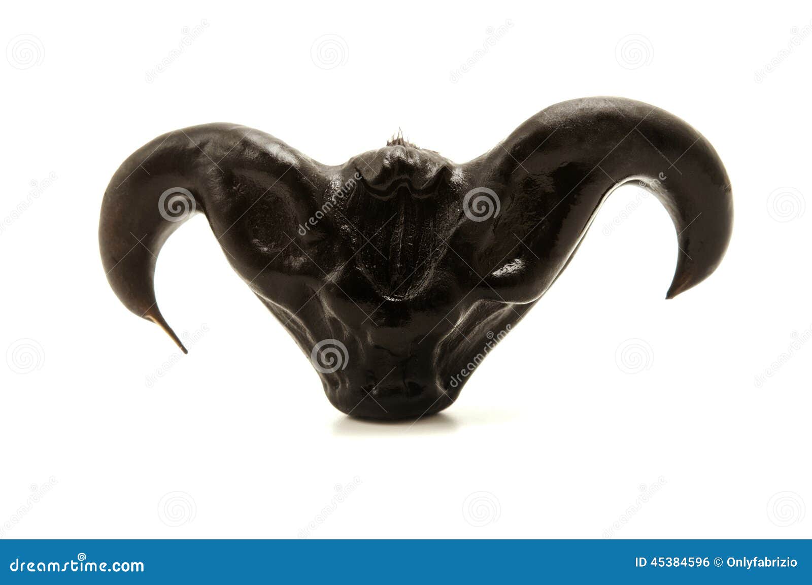 Water Caltrop Royalty-Free Stock Photo | CartoonDealer.com #29668701