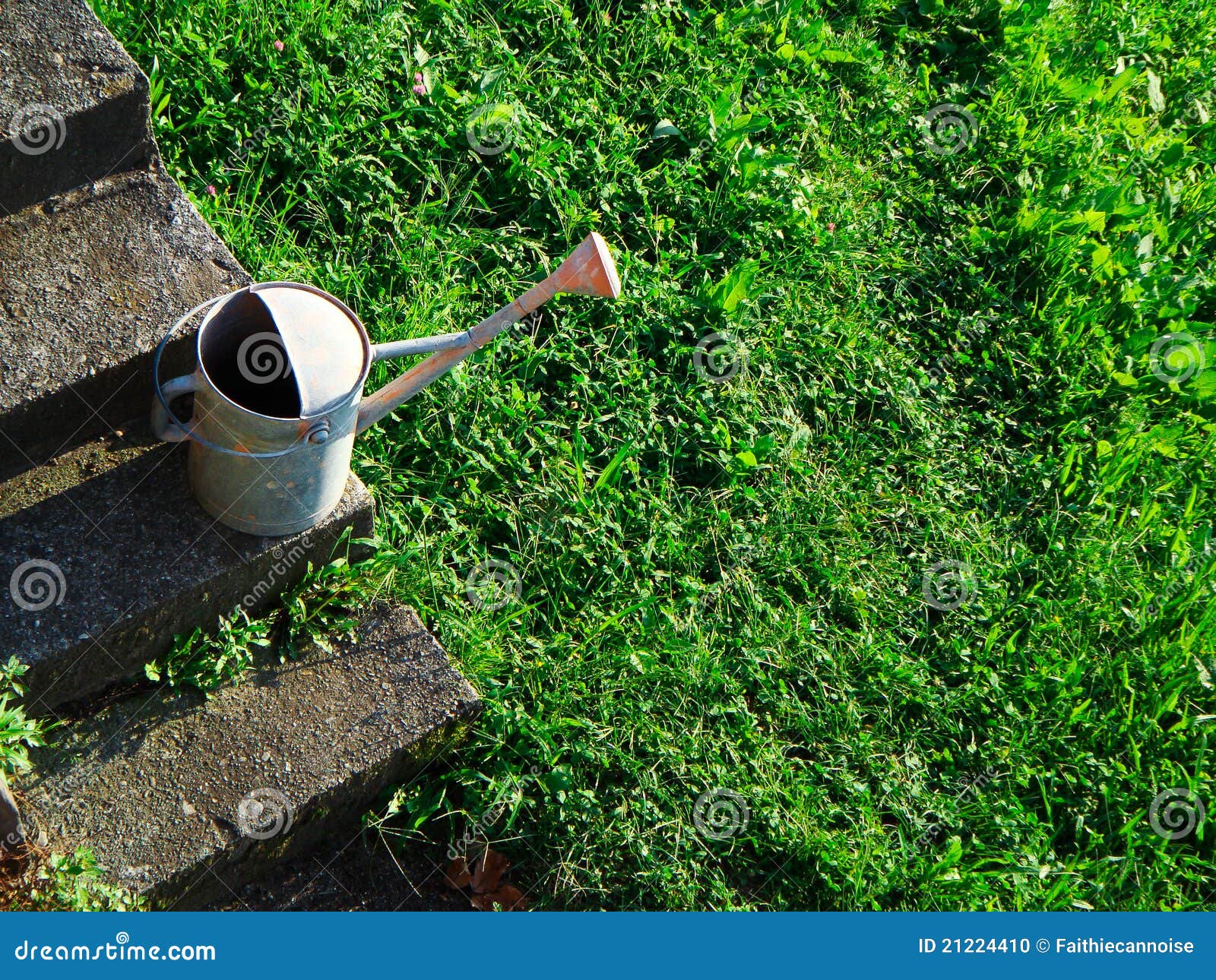 Water Can on Green Grass Meadow Stock Photo - Image of plant ...