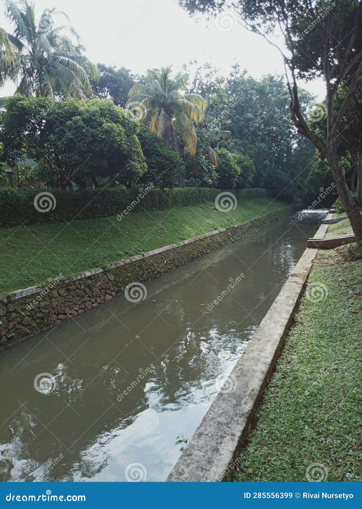 Water canal around trees stock image. Image of trees - 285556399
