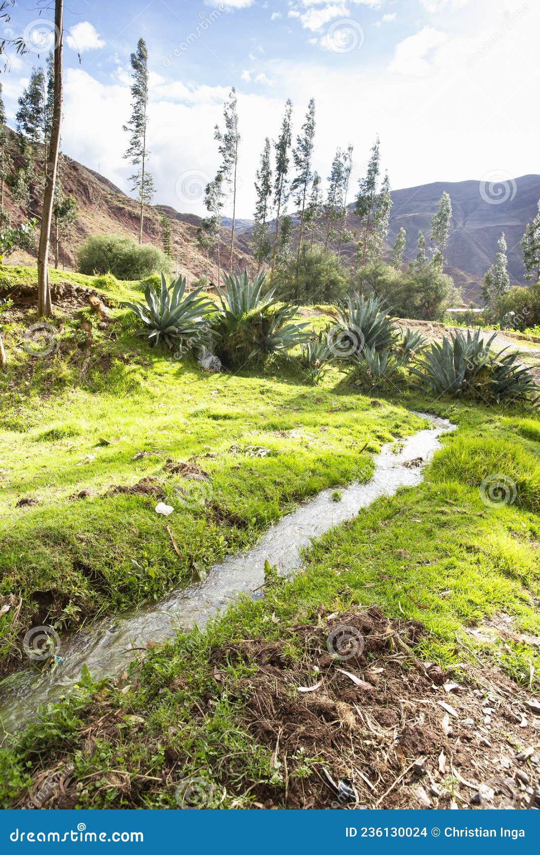 Water canal in Cusco Peru. stock photo. Image of green - 236130024