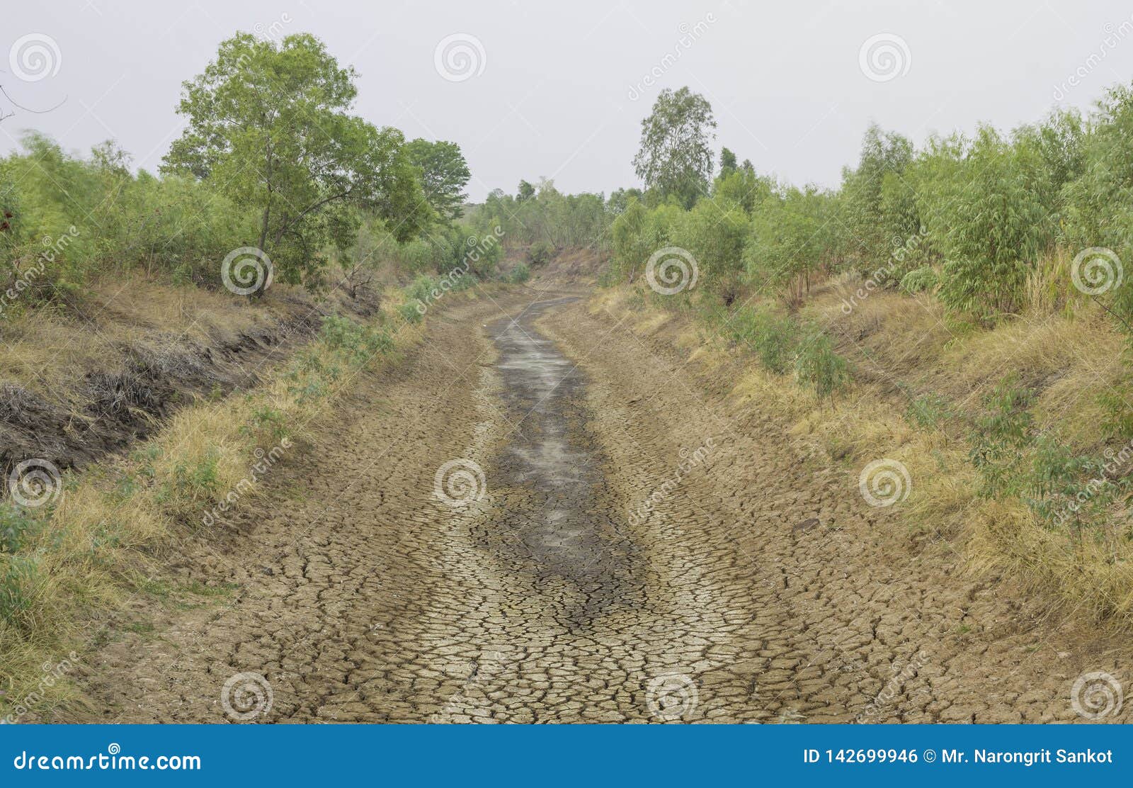 Dry canal stock photo. Image of ground, brown, climate - 142699946