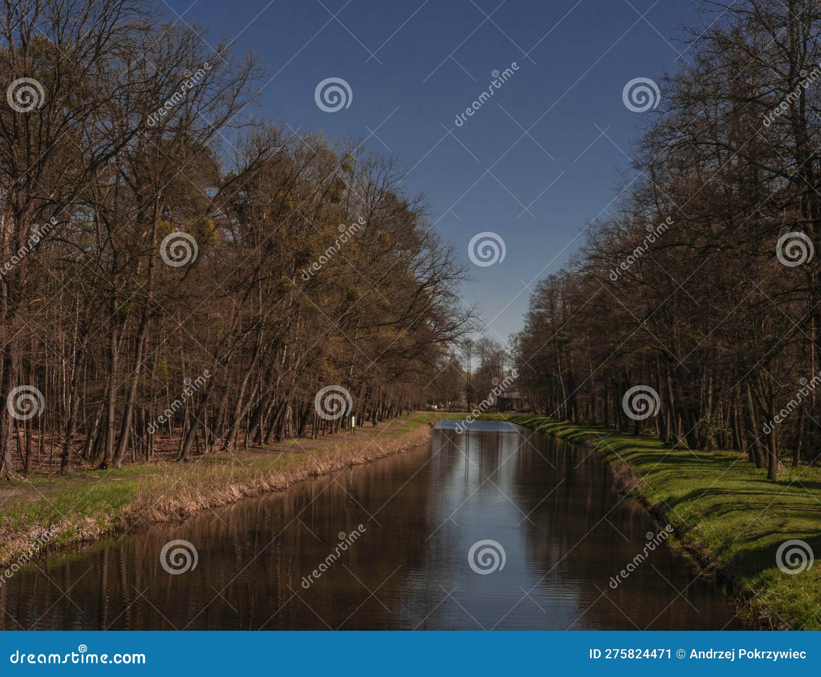 Water Canal in the Park Spring Time Landscape Stock Image - Image of ...