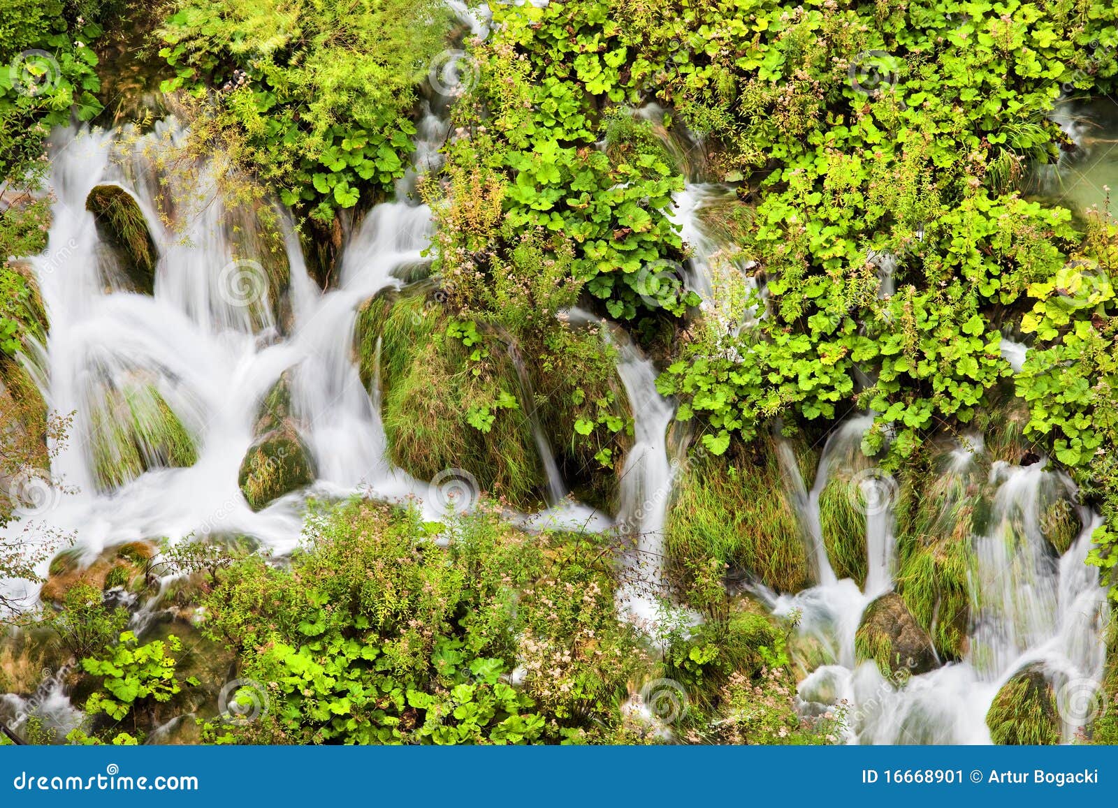Water Cascade stock image. Image of green, foliage, greenery - 16668901