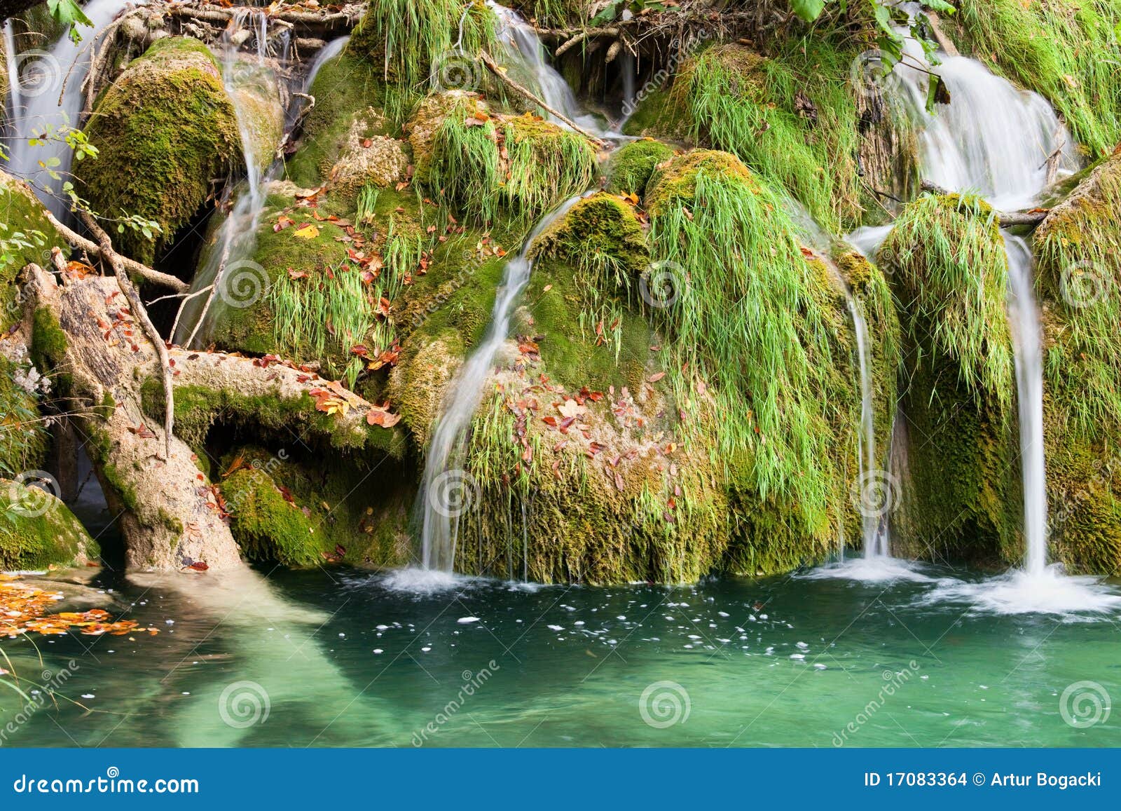 Water Cascade stock photo. Image of falls, idyllic, grassy - 17083364