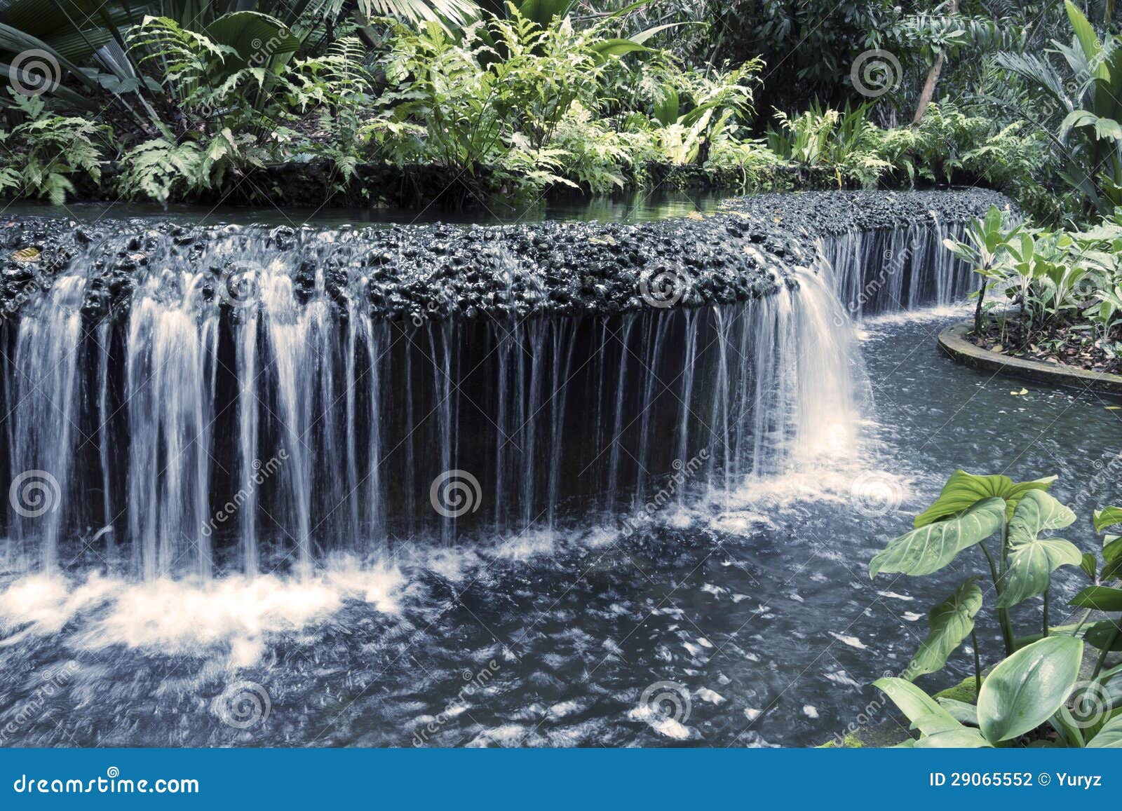 Water cascade stock photo. Image of tropical, water, green - 29065552