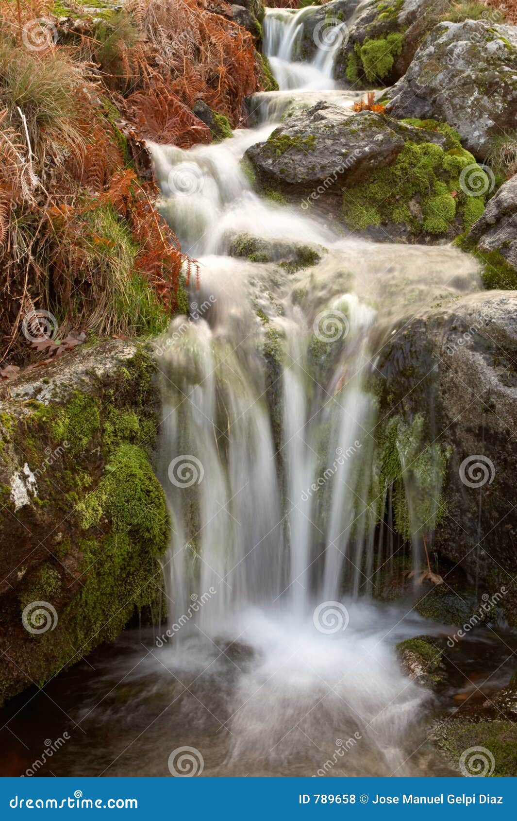 A water cascade stock photo. Image of mossy, spring, moss - 789658