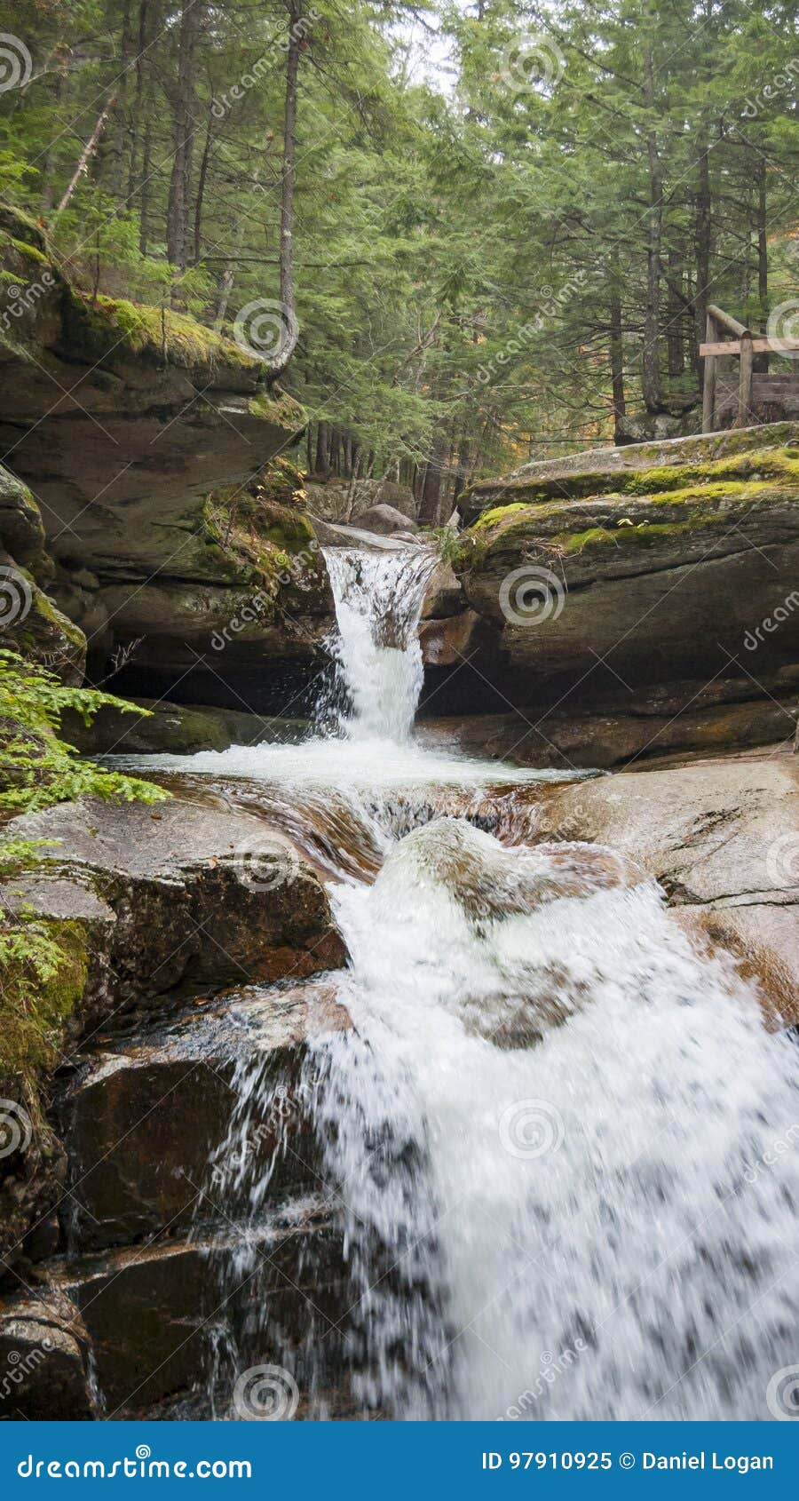 Water Cascading Down Rocky Hillside Stock Image - Image of tree ...