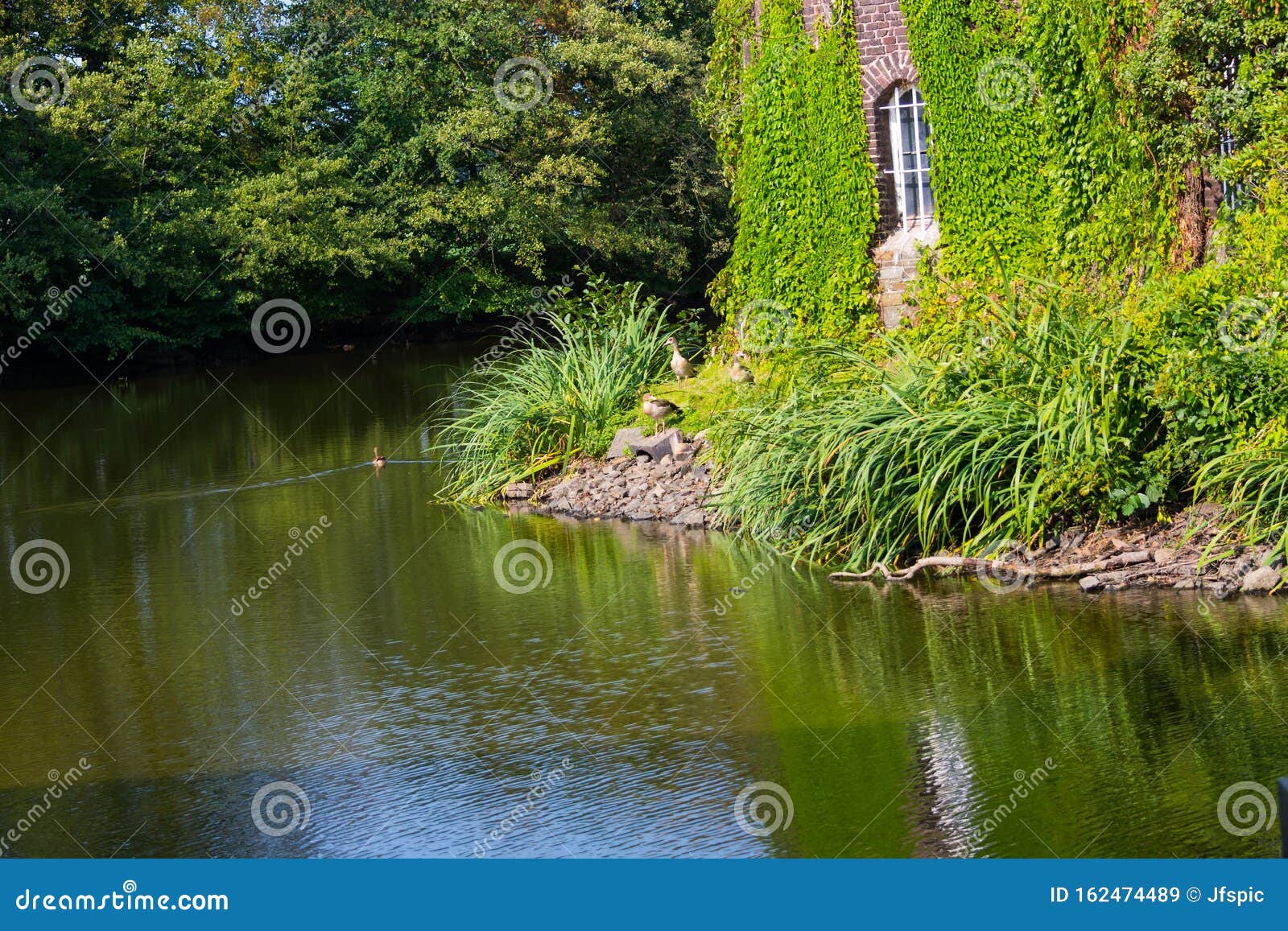 Water castle in Germany stock image. Image of castle - 162474489