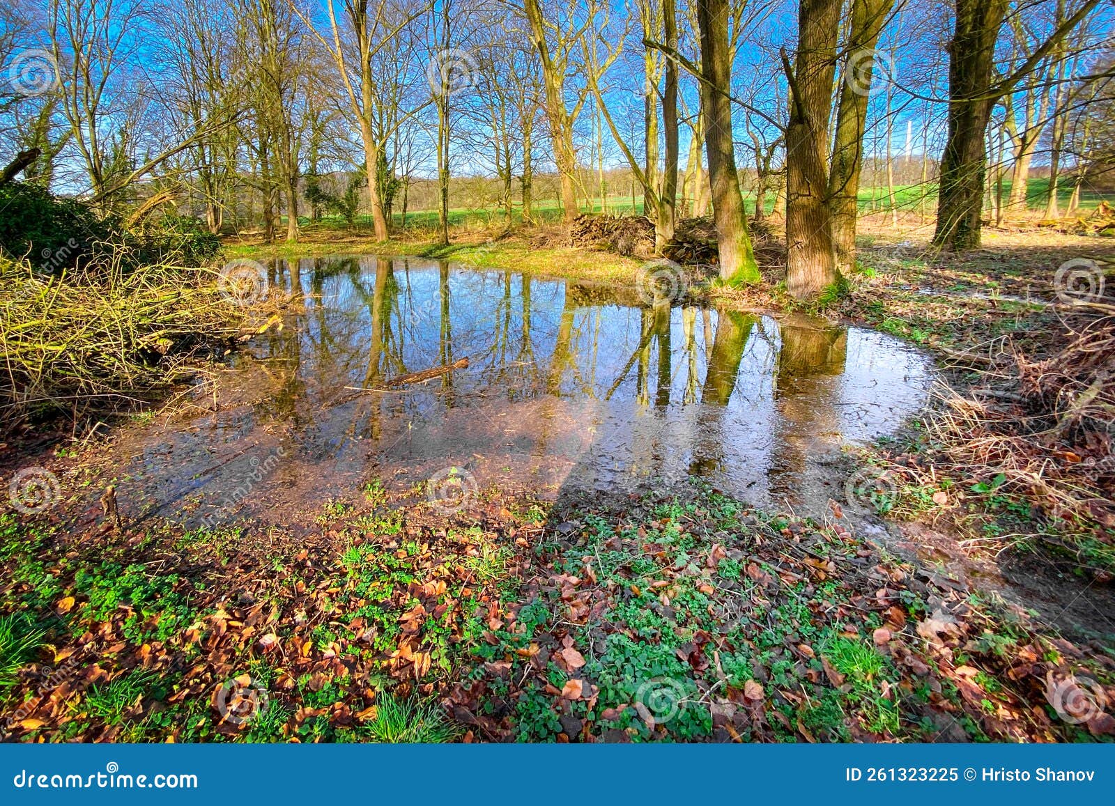 Old Water Castle with Trees and Reflections in Water Stock Image ...