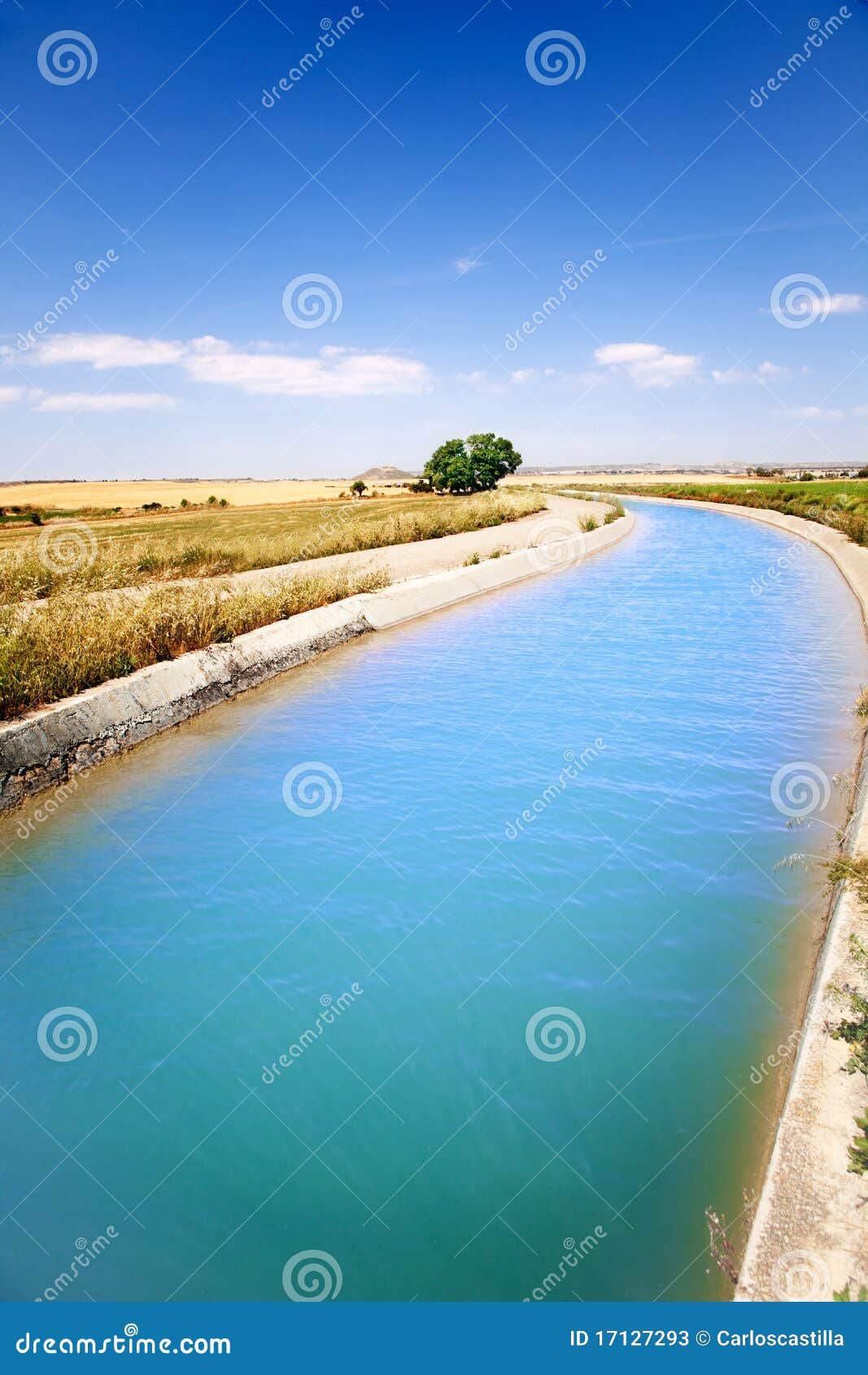 6,831 Grass Channel Tree Stock Photos - Free & Royalty-Free Stock ...