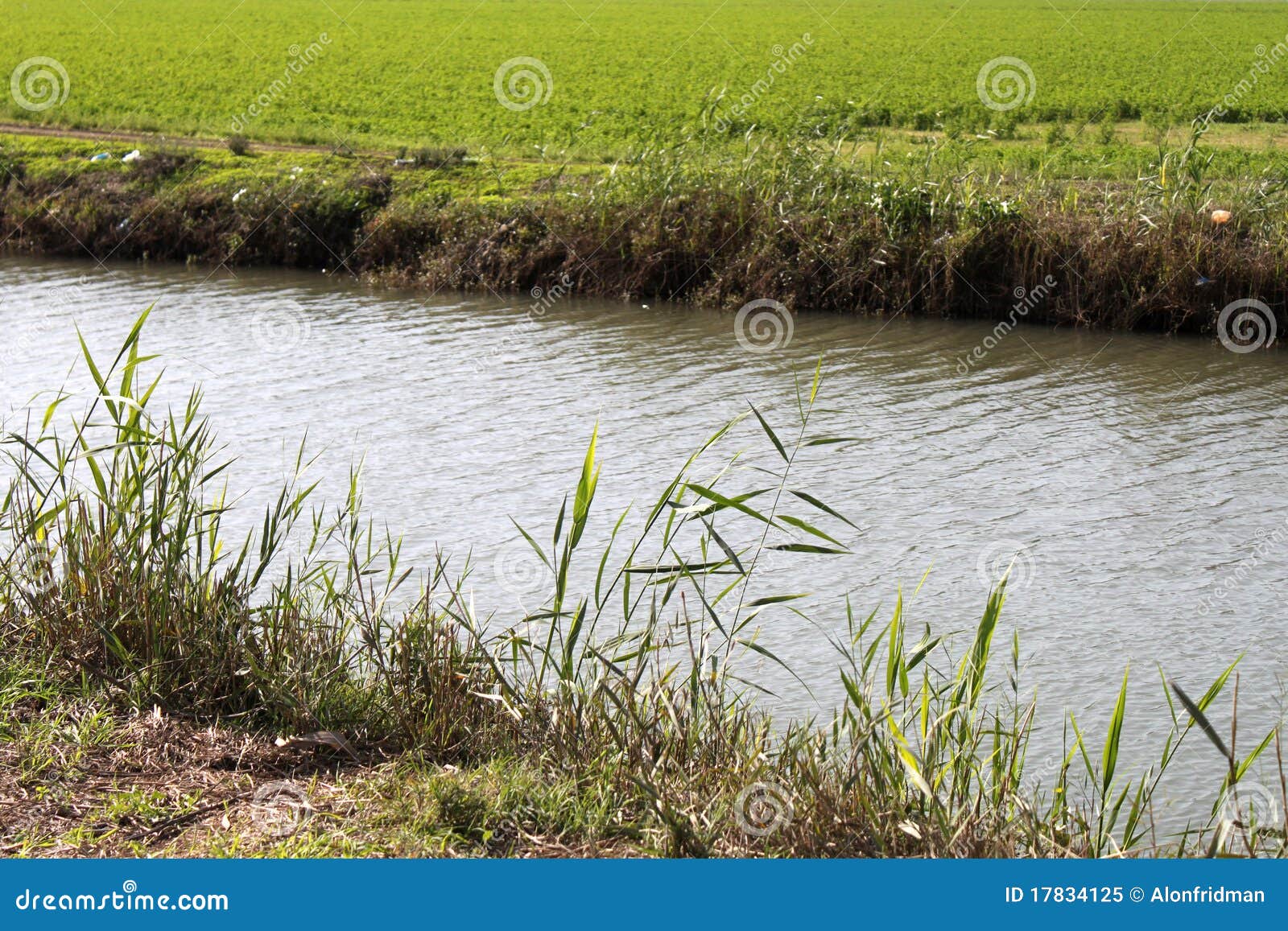 Water Channel stock image. Image of agmon, water, hula - 17834125