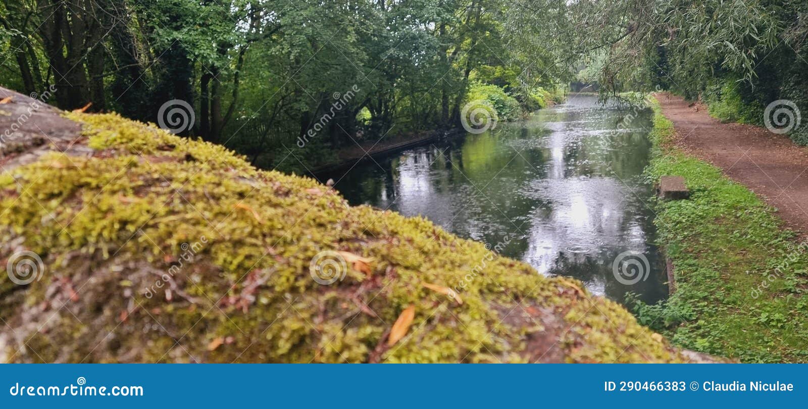 A water channel stock image. Image of nature, reflection - 290466383