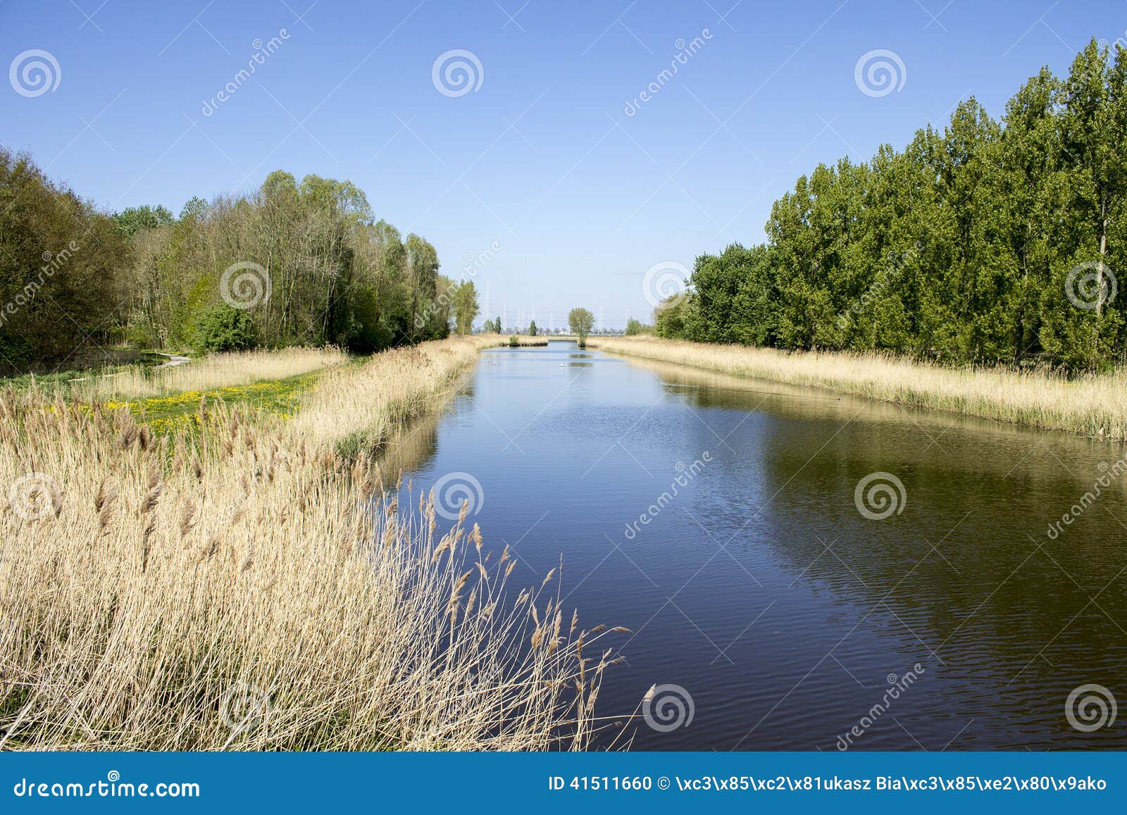 Water channel stock photo. Image of forest, channel, wooden - 41511660