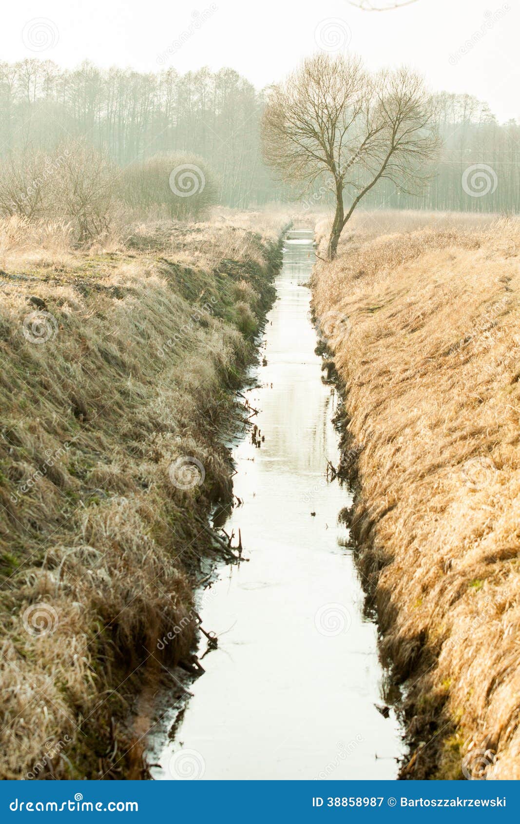 The Water Channel between the Fields Stock Image - Image of outdoor ...