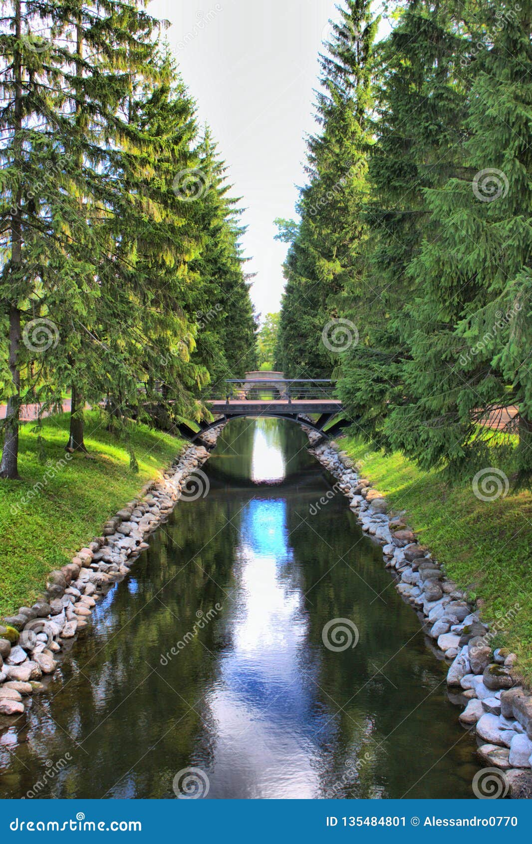 Water Channel Flanked by Trees Stock Image - Image of nature, flanked ...