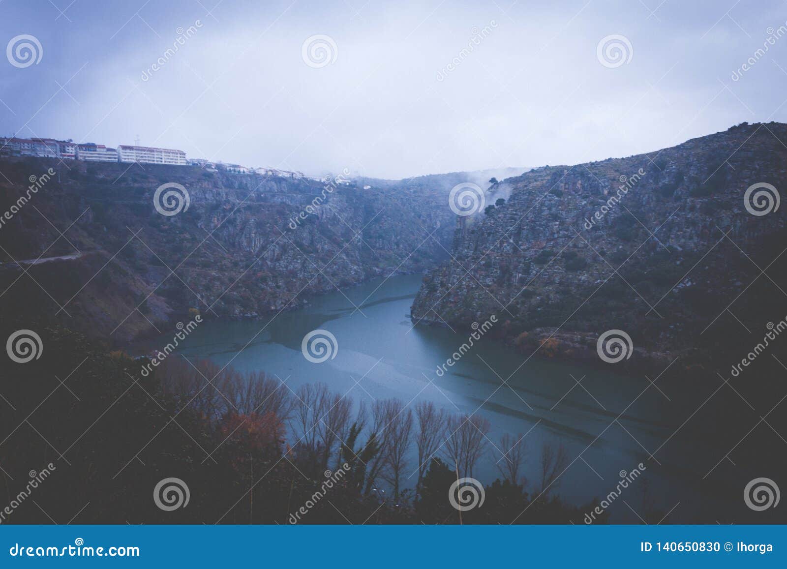 Water Channel through Forest in Autumn Stock Photo - Image of trees ...