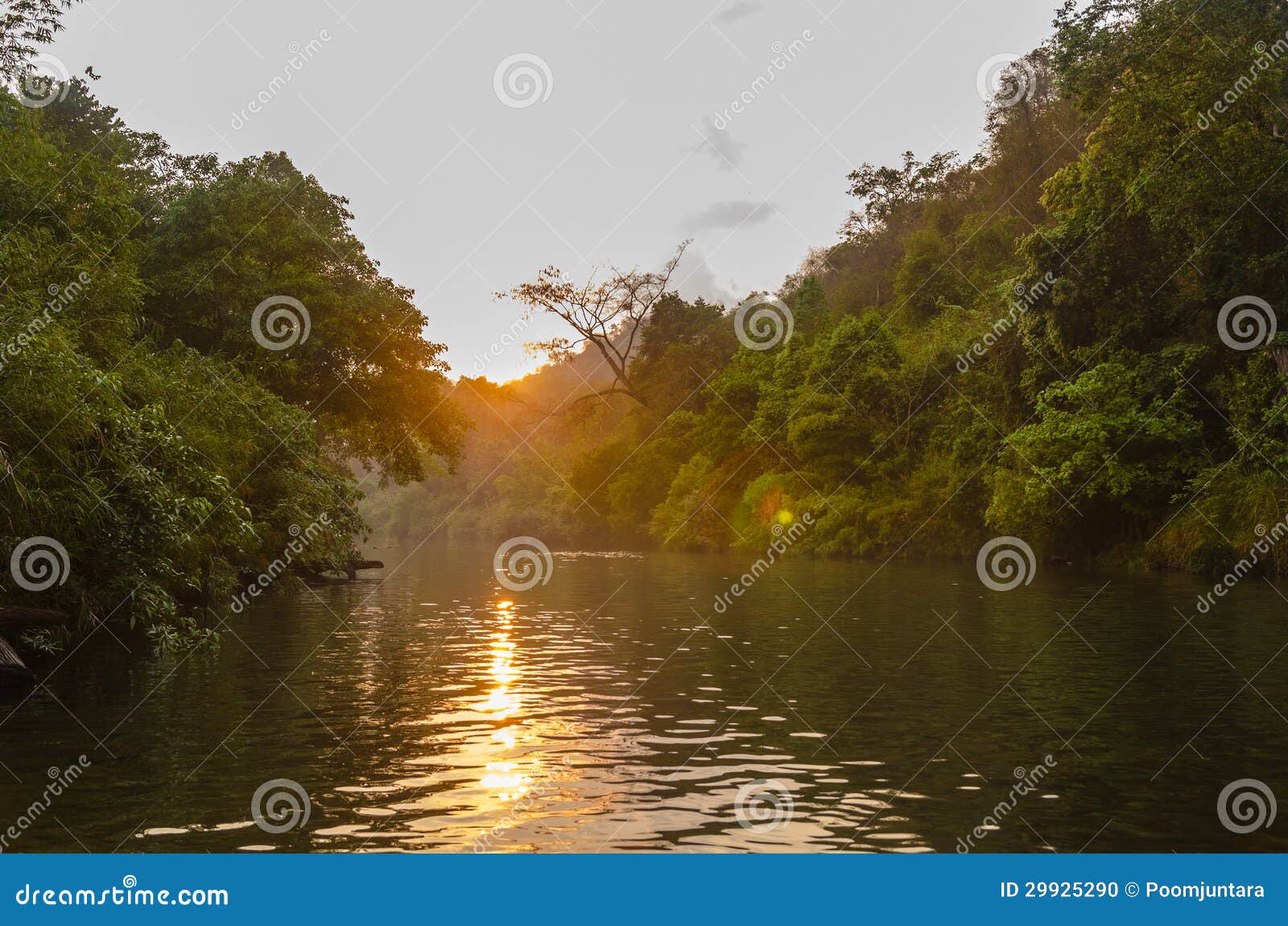 Water channel stock photo. Image of foliage, greenery - 29925290
