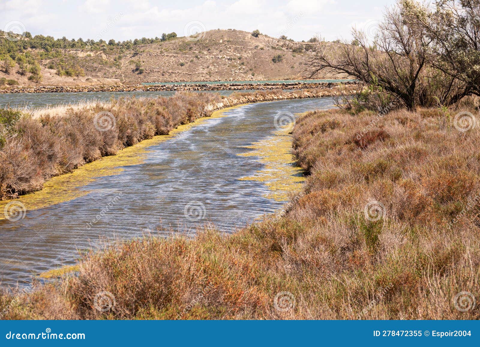 Water channel in grass stock image. Image of grass, beautiful - 278472355