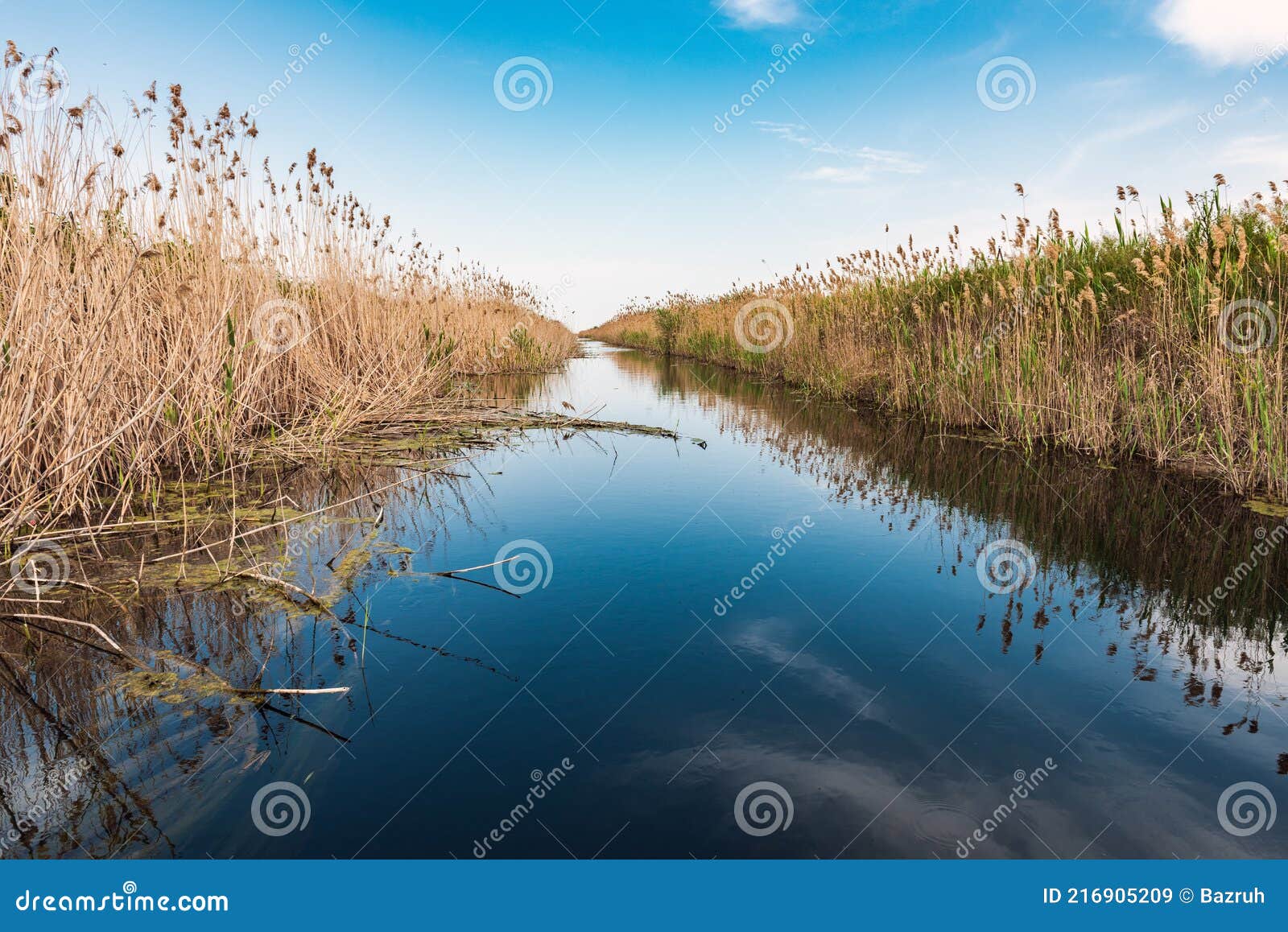 Water Channel in Nature Reserve Stock Image - Image of farm, irrigate ...