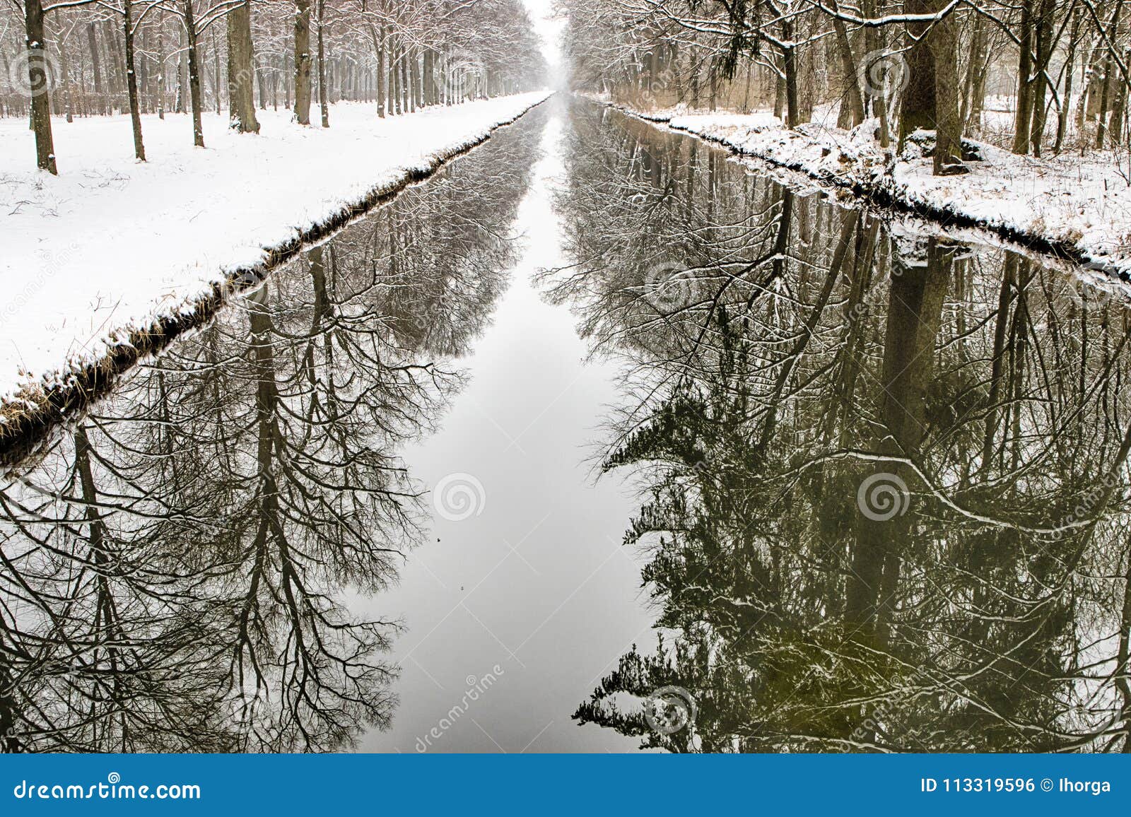 Water Channel through Snowy Forest Stock Photo - Image of trees ...