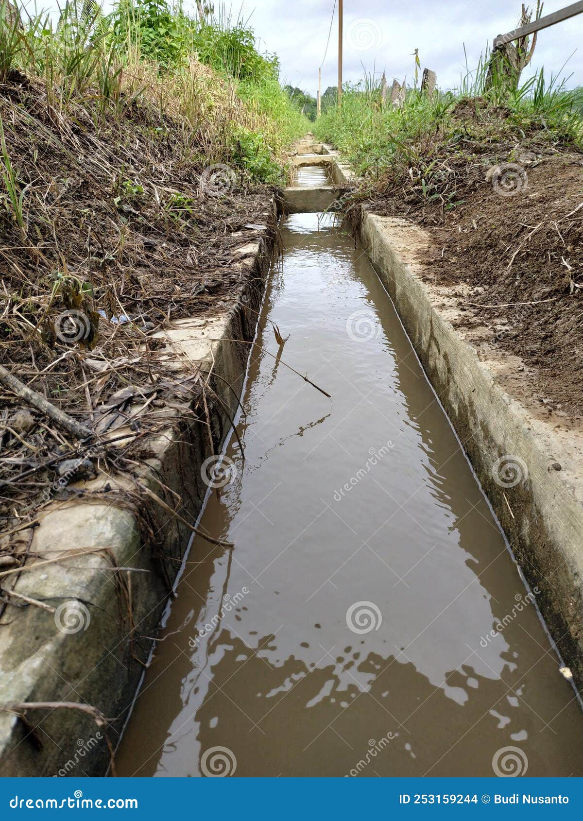 This Water Channel is Used As Irrigation for Rice Fields Stock Photo ...